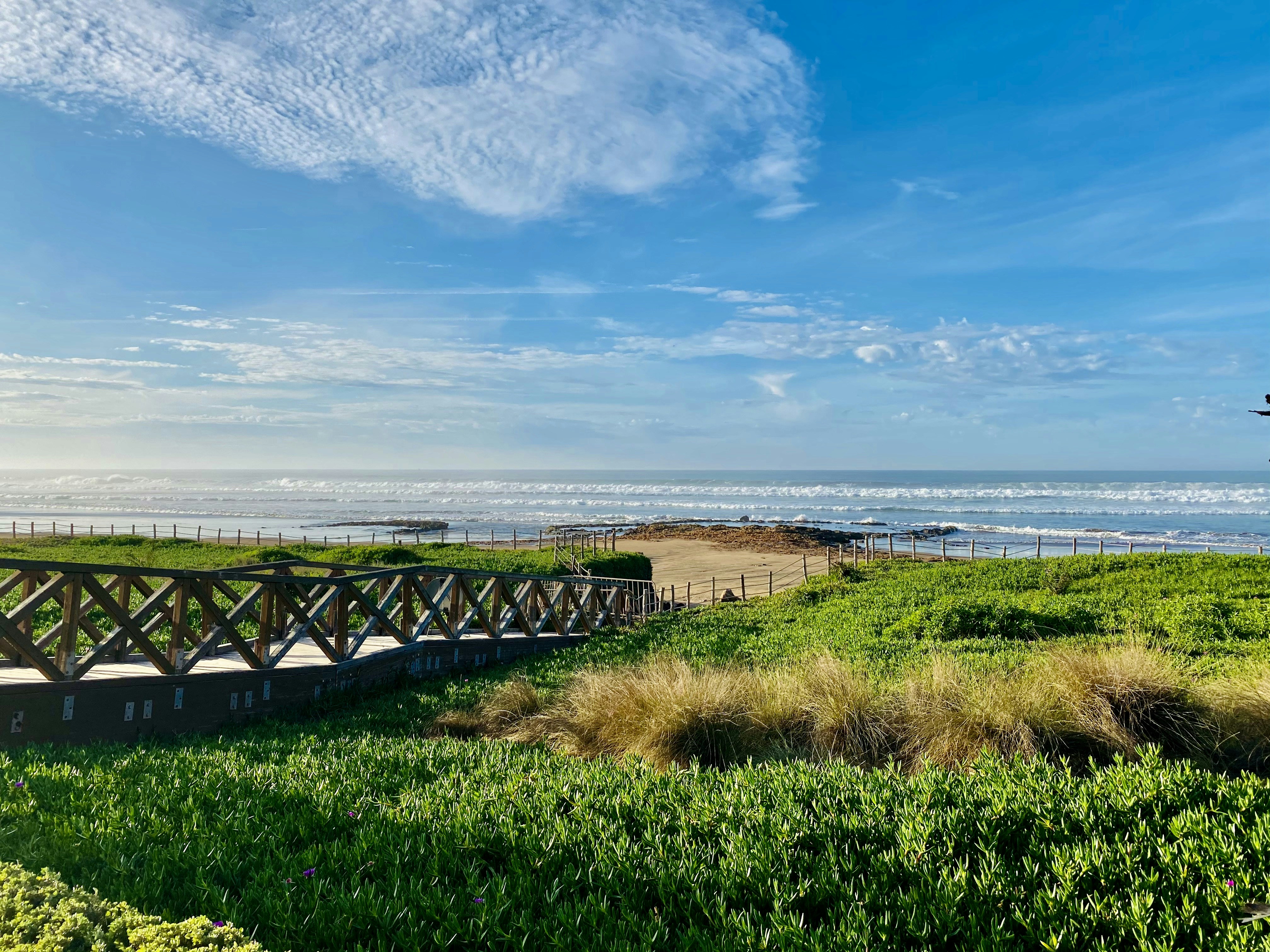 Wooden boardwalk stretching across a vibrant green landscape with the ocean in the background under a clear blue sky.