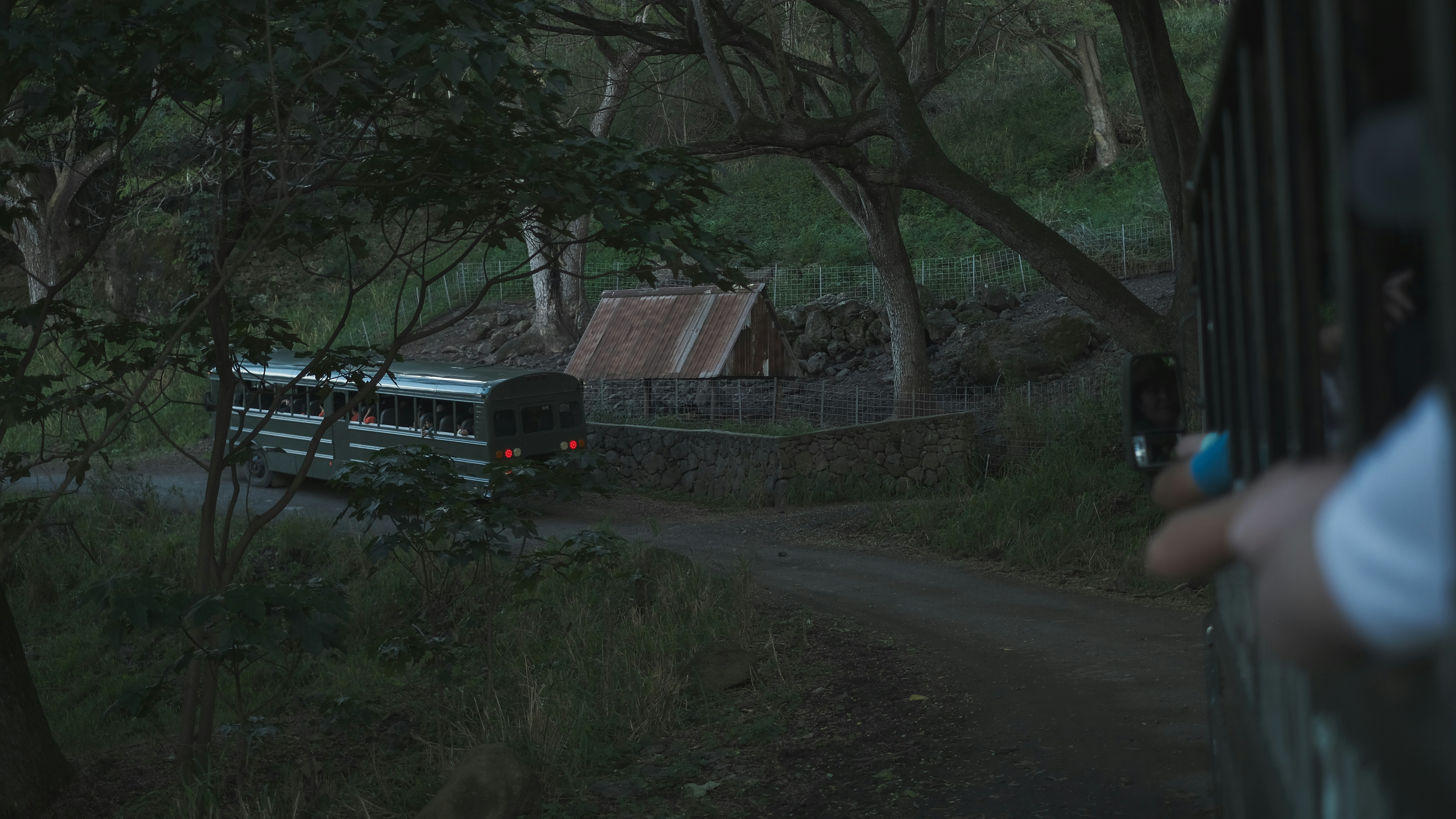 Twilight Curve: A Distant Train Winding Through a Quiet Forest