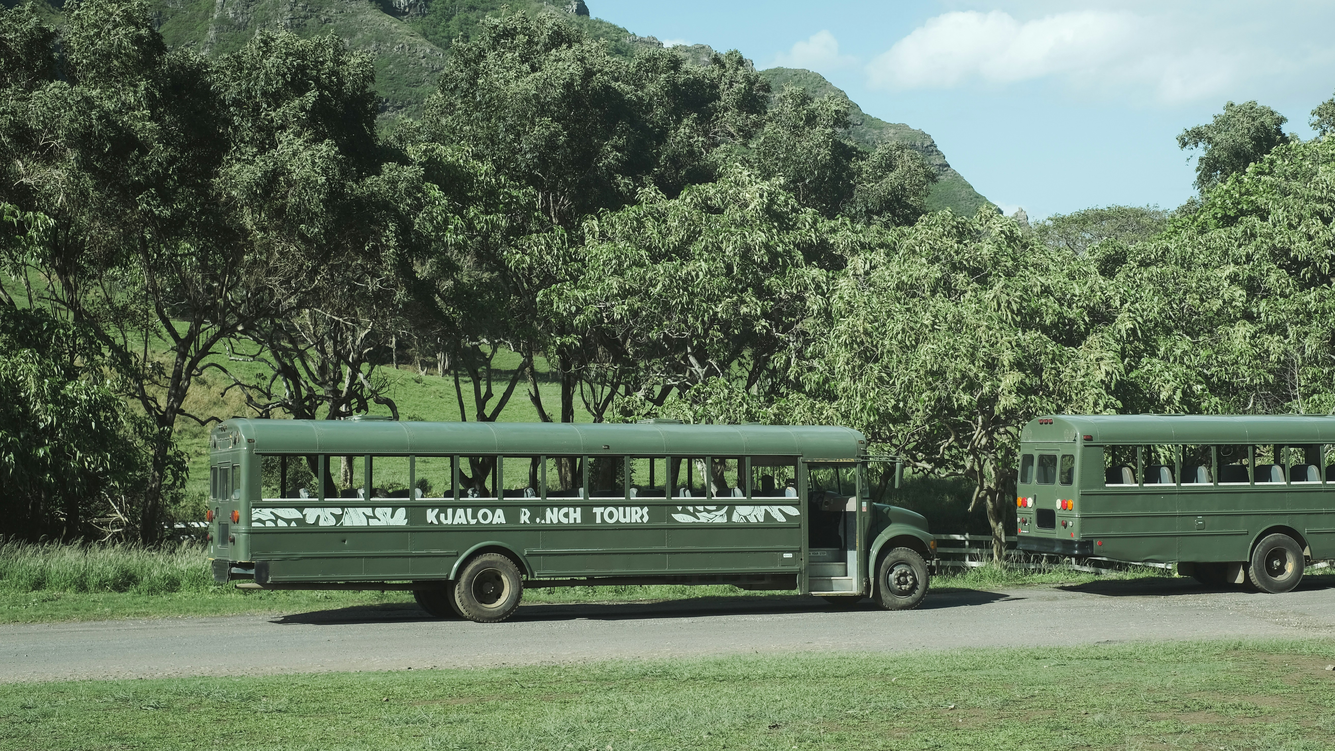 Emerald Coaches Along a Meadowed Road Beneath Forested Hills