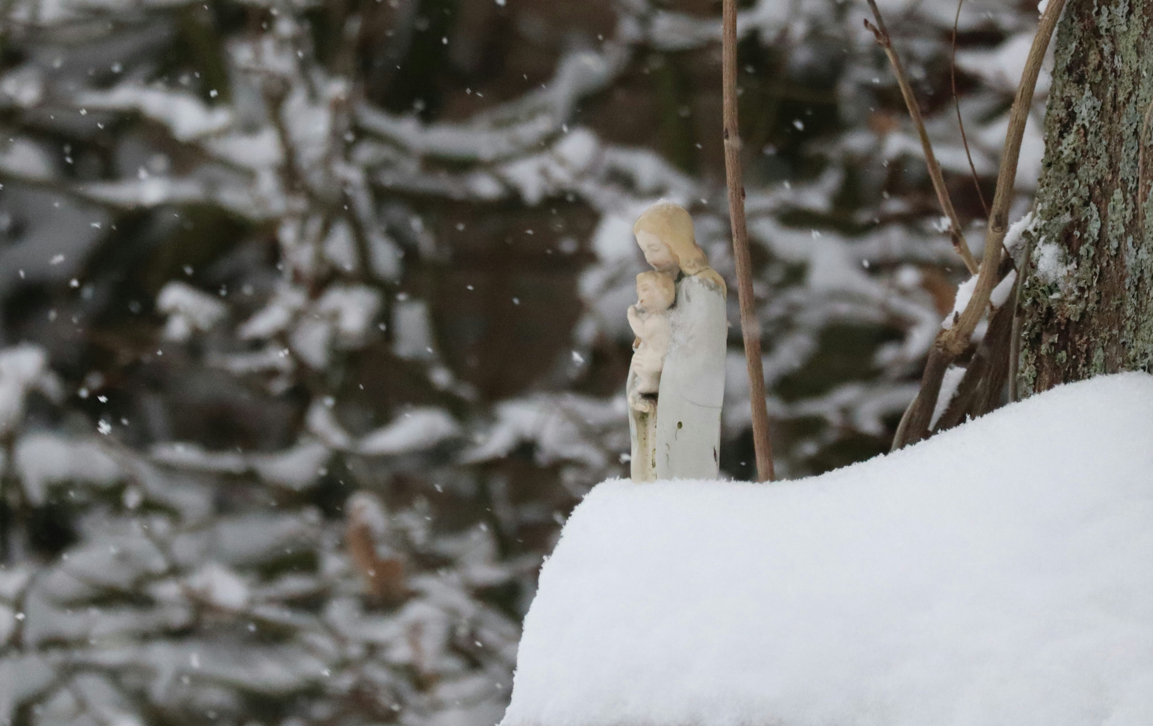 Snowbound Sentinel: A Tiny Statue Guarding a Frosted Forest