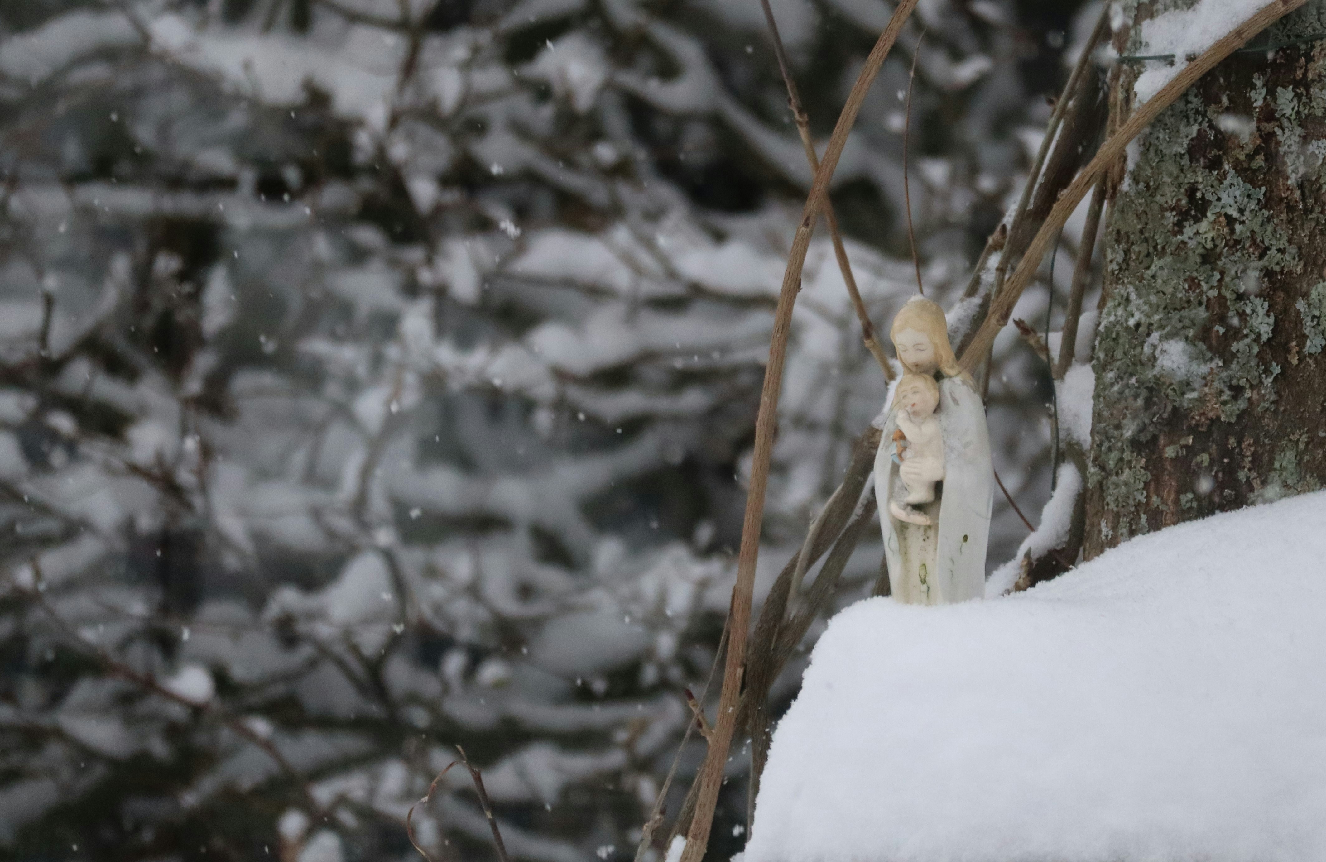 Snowbound Guardian: A solitary statue guards a quiet winter grove