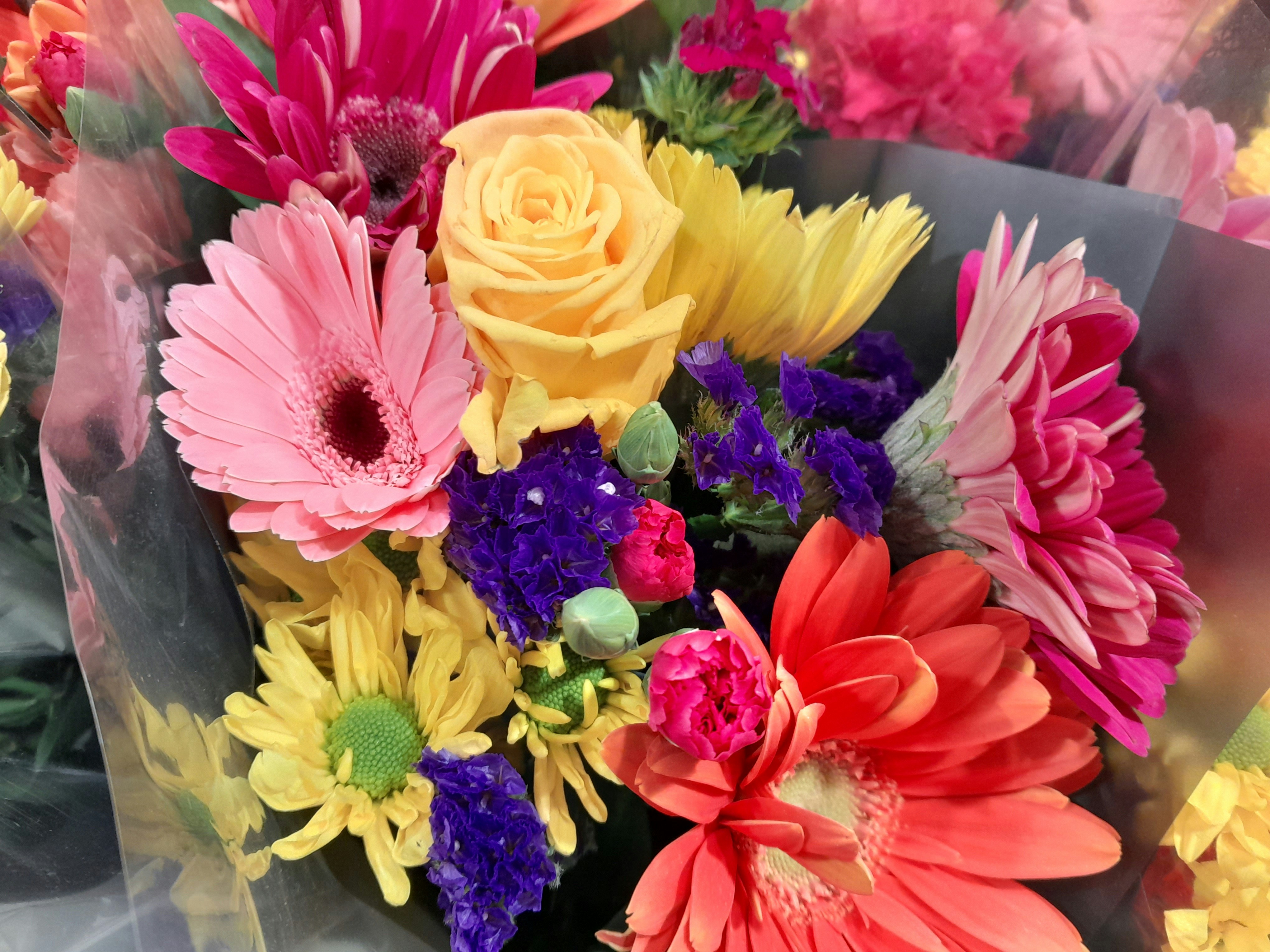 Vibrant bouquet with a yellow rose at the center, surrounded by pink, purple, and orange blooms wrapped in clear cellophane. The arrangement emphasizes color variety and texture.
