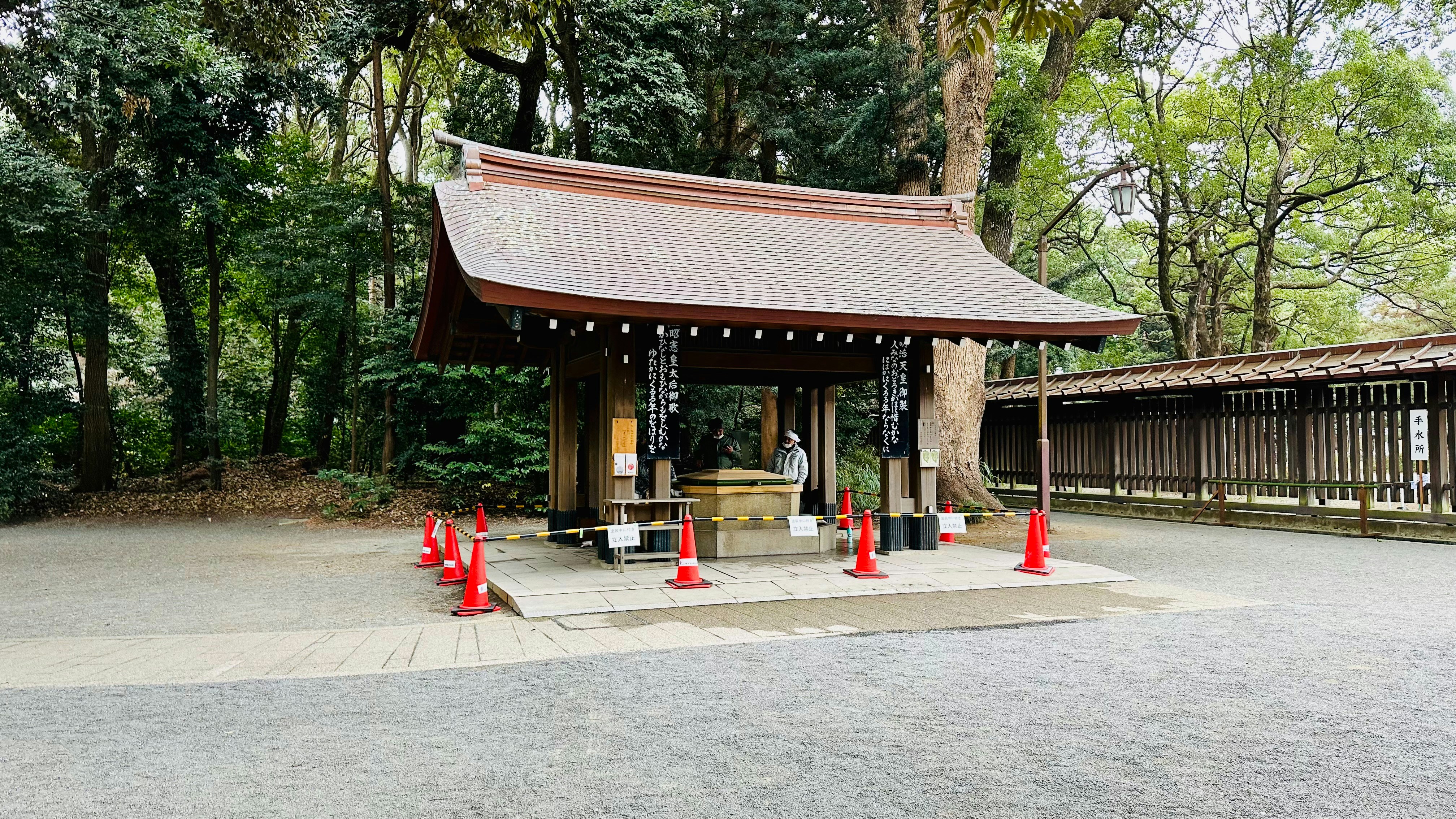 Photo by Deepavali Gaind with Apple iPhone 14 Pro