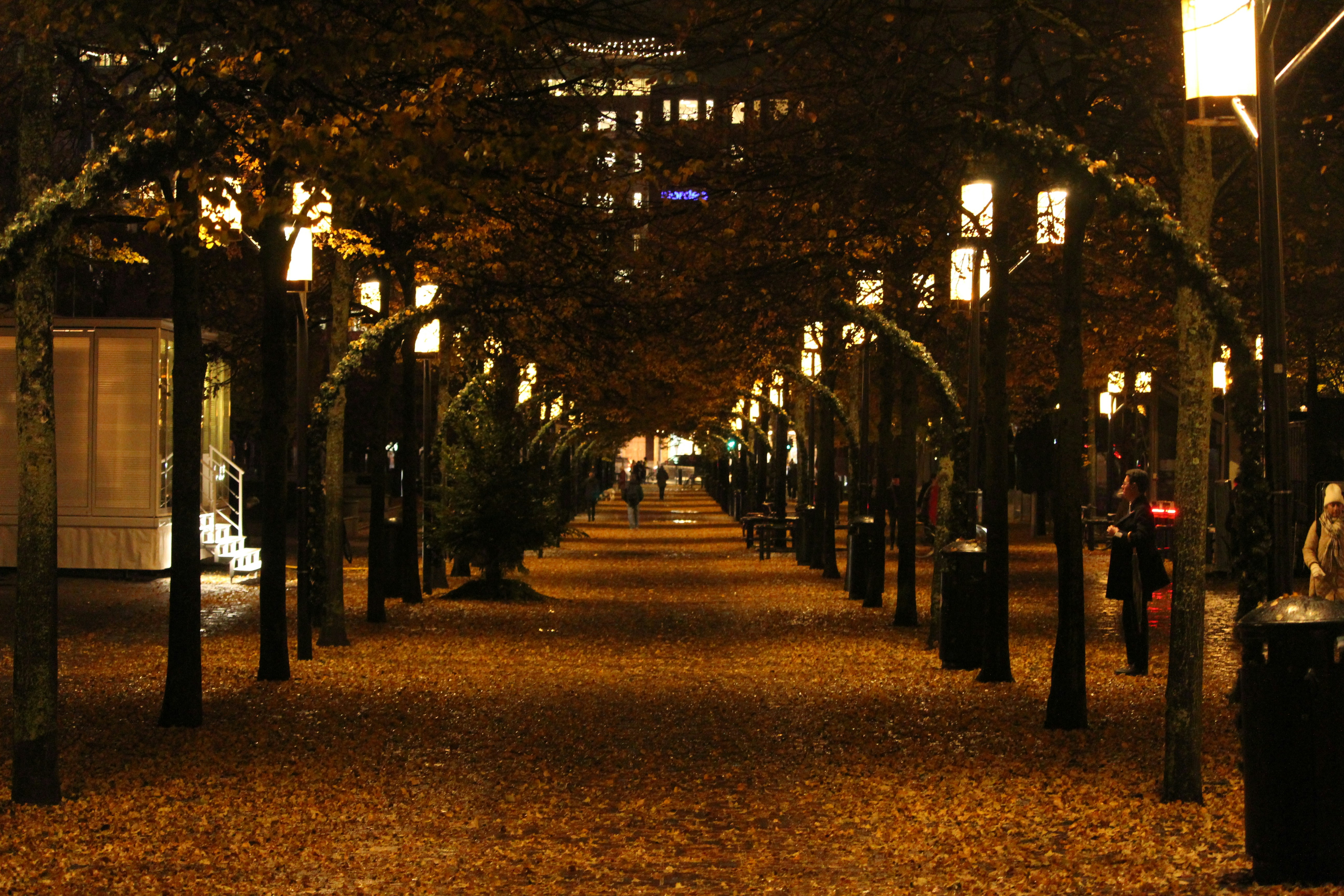 Night Walk Through a Lantern-Lit Alley of Autumn Leaves