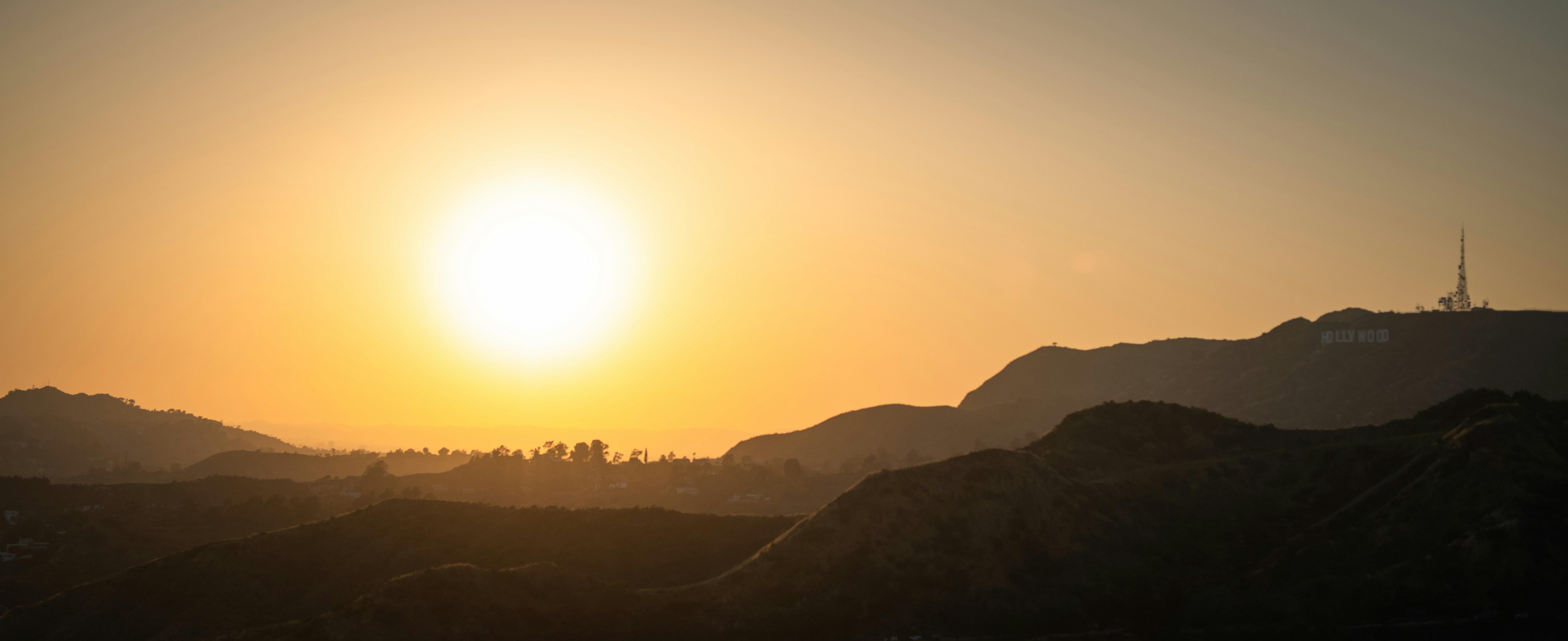 Photo by Margaret Zhang with Nikon D810