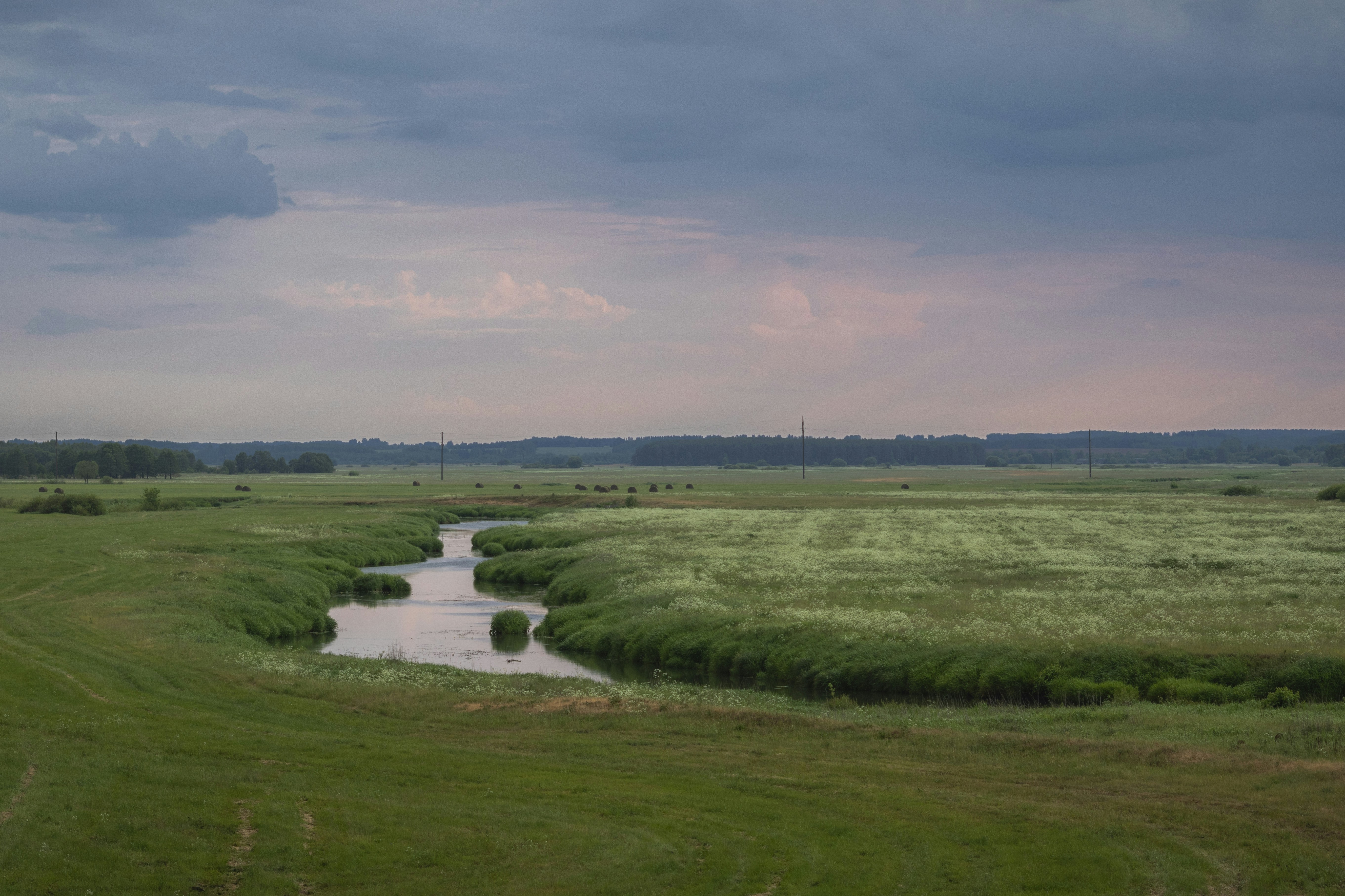 Meadow River's Quiet Loop Under a Moody Sky