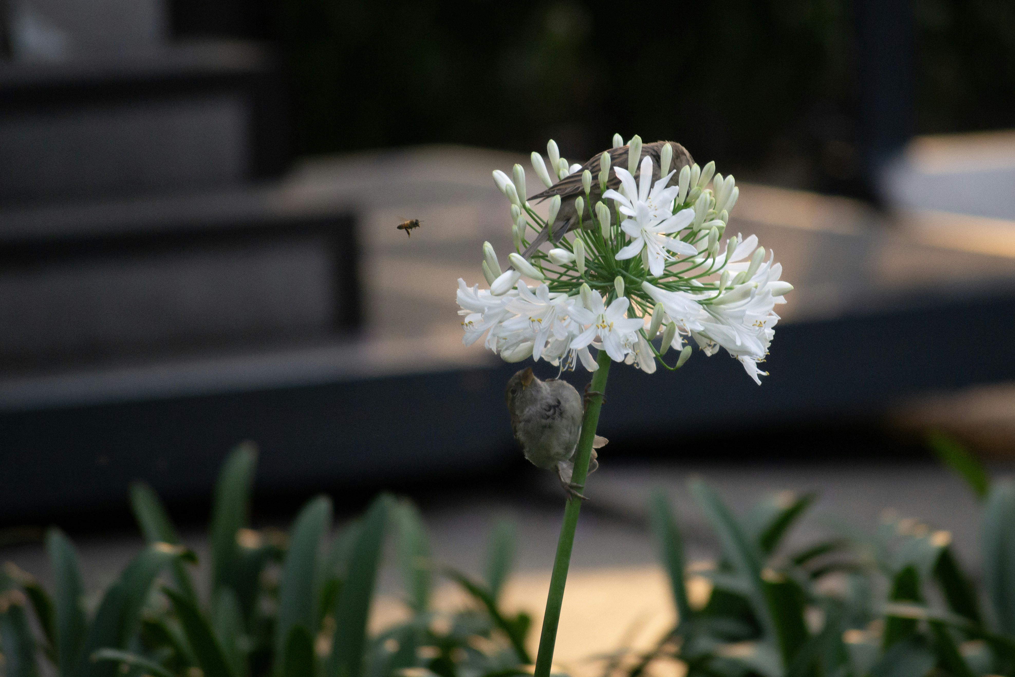 Photo by Karina Hurtado with Nikon D3100