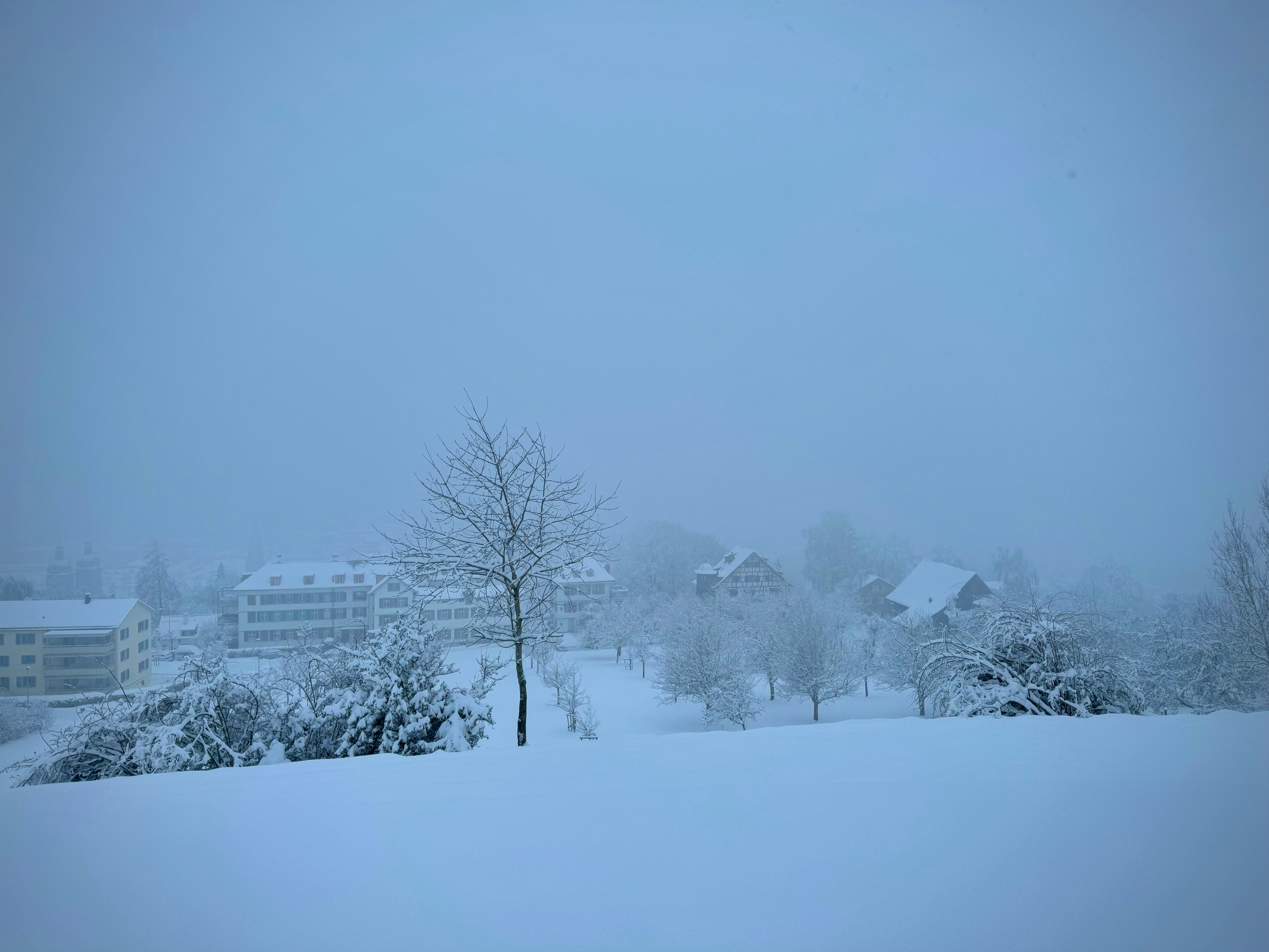 Whispers of Winter: A Snow-Cloaked Village