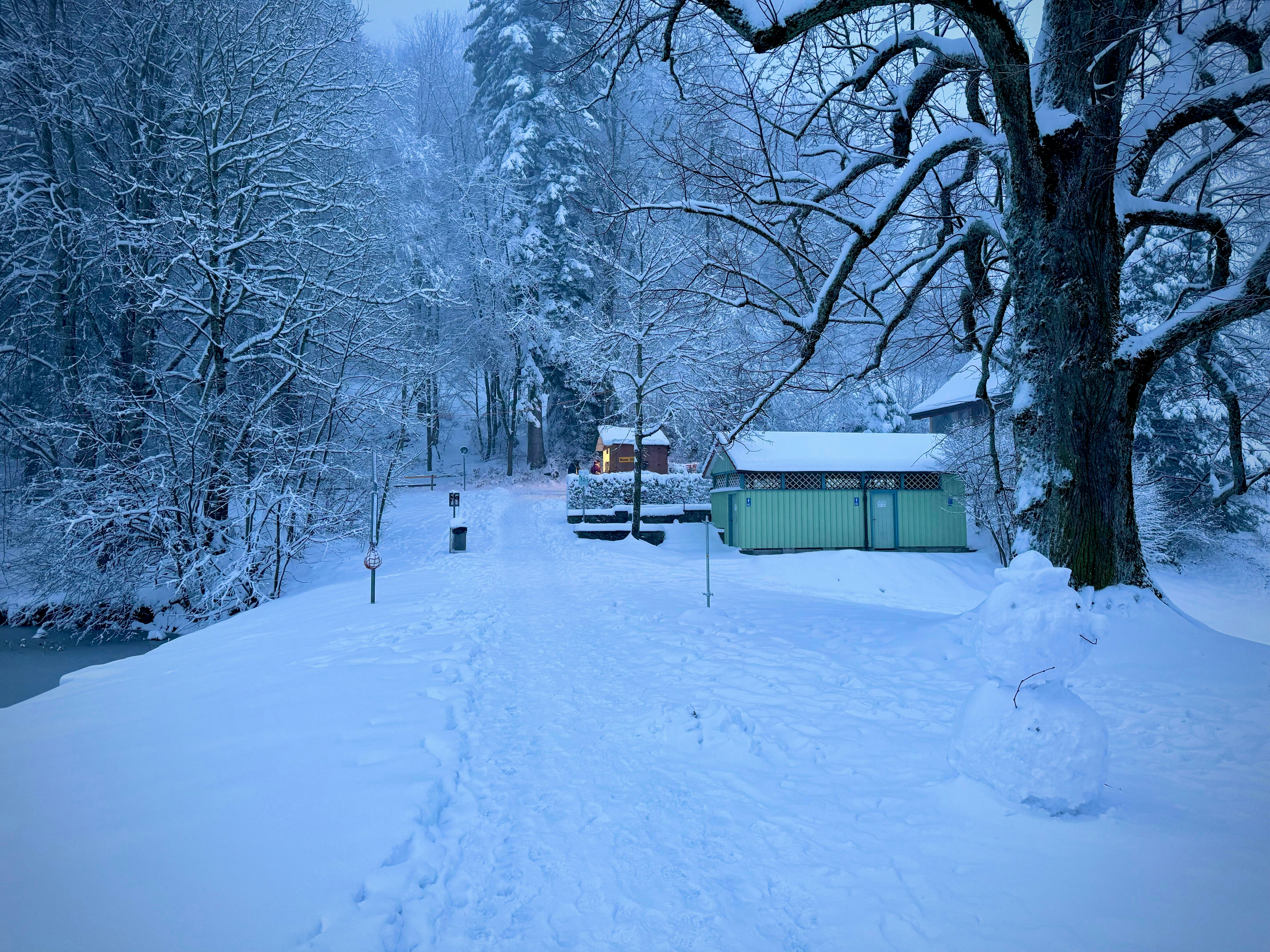 Snow-Lined Path Toward a Green-Faced Cabin in a Quiet Winter Forest
