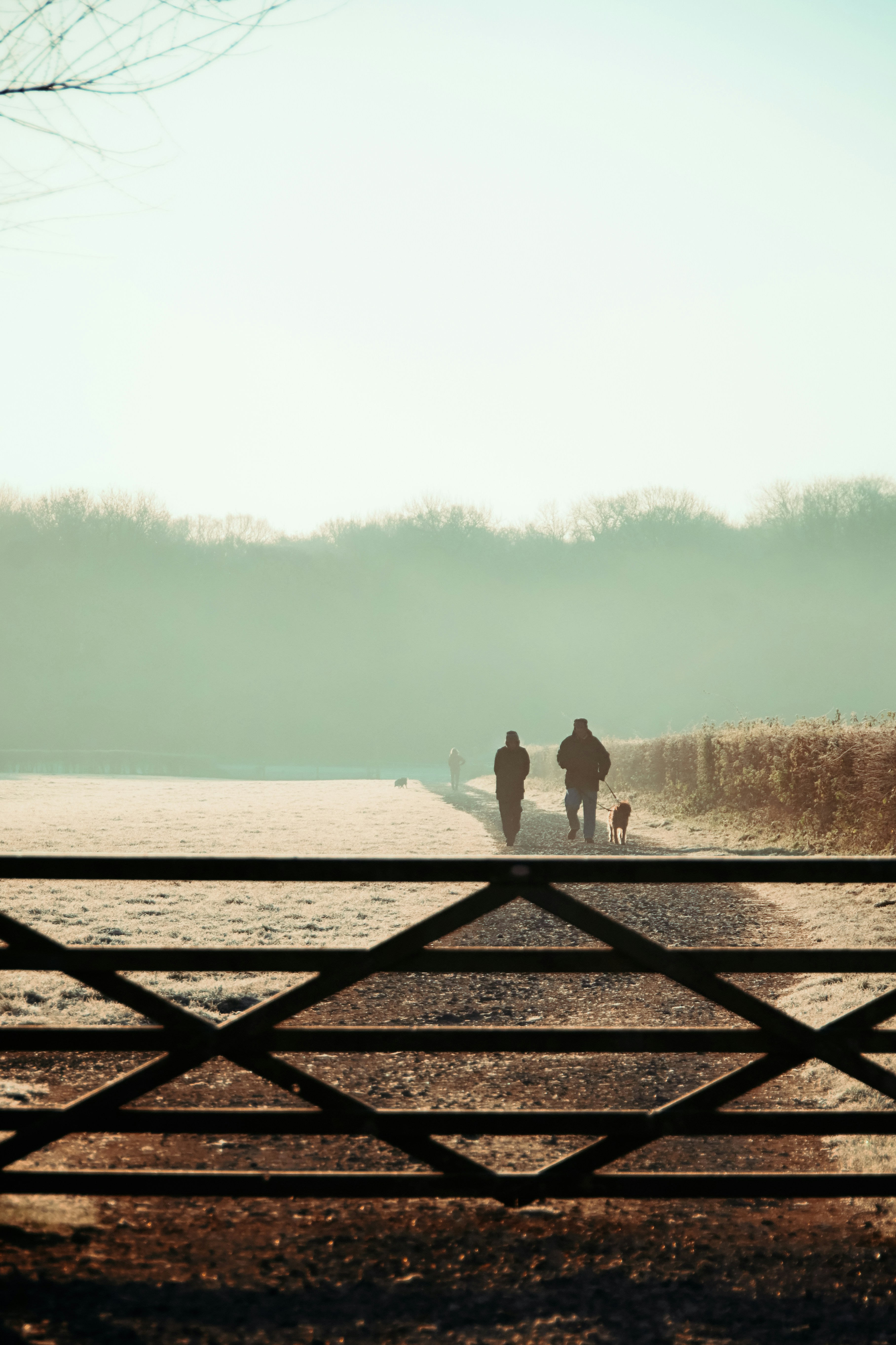 Photo by Nik with Nikon Z50