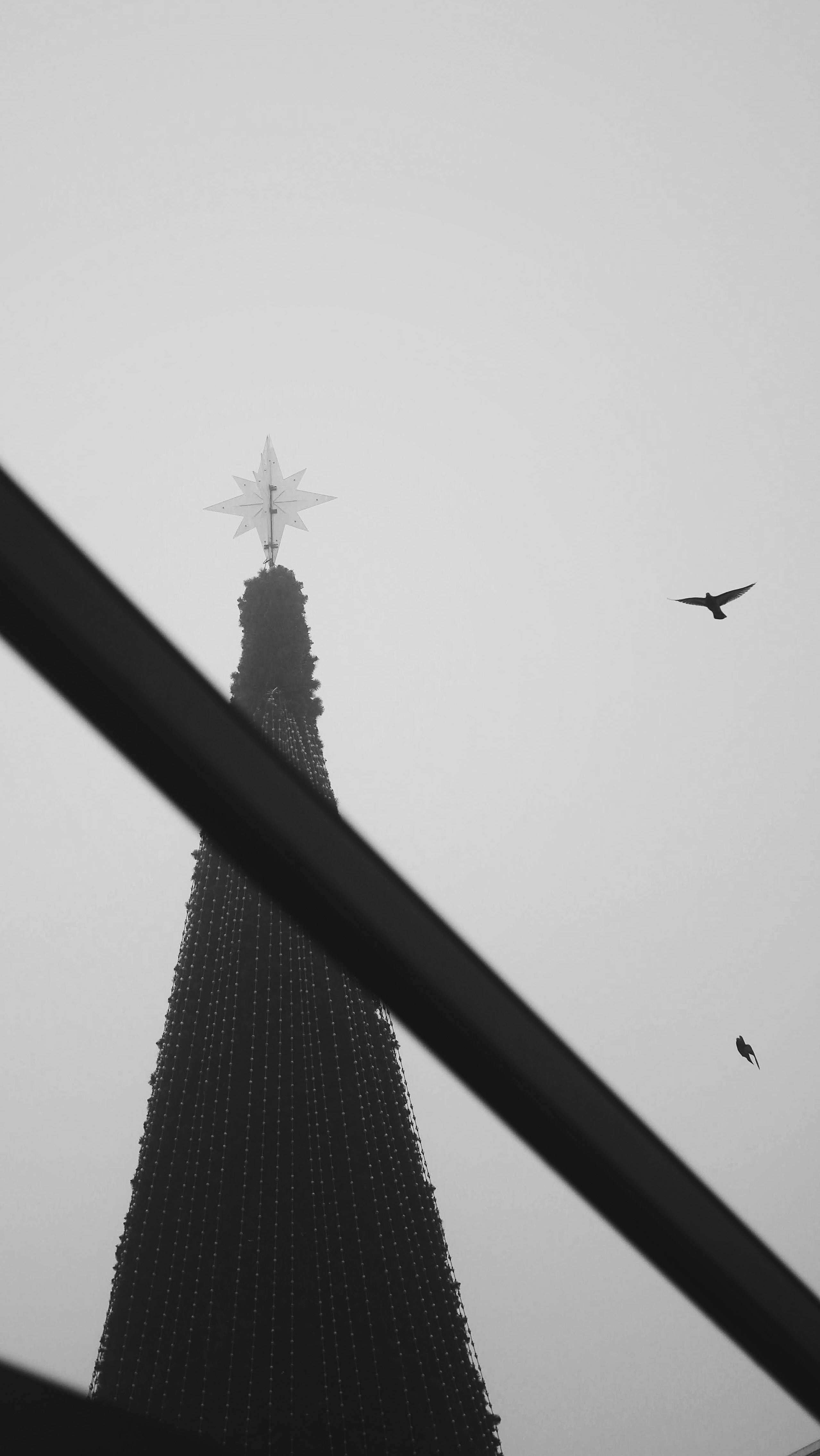 Towering Steel Spire: A Silhouette Beneath a Skyward Star