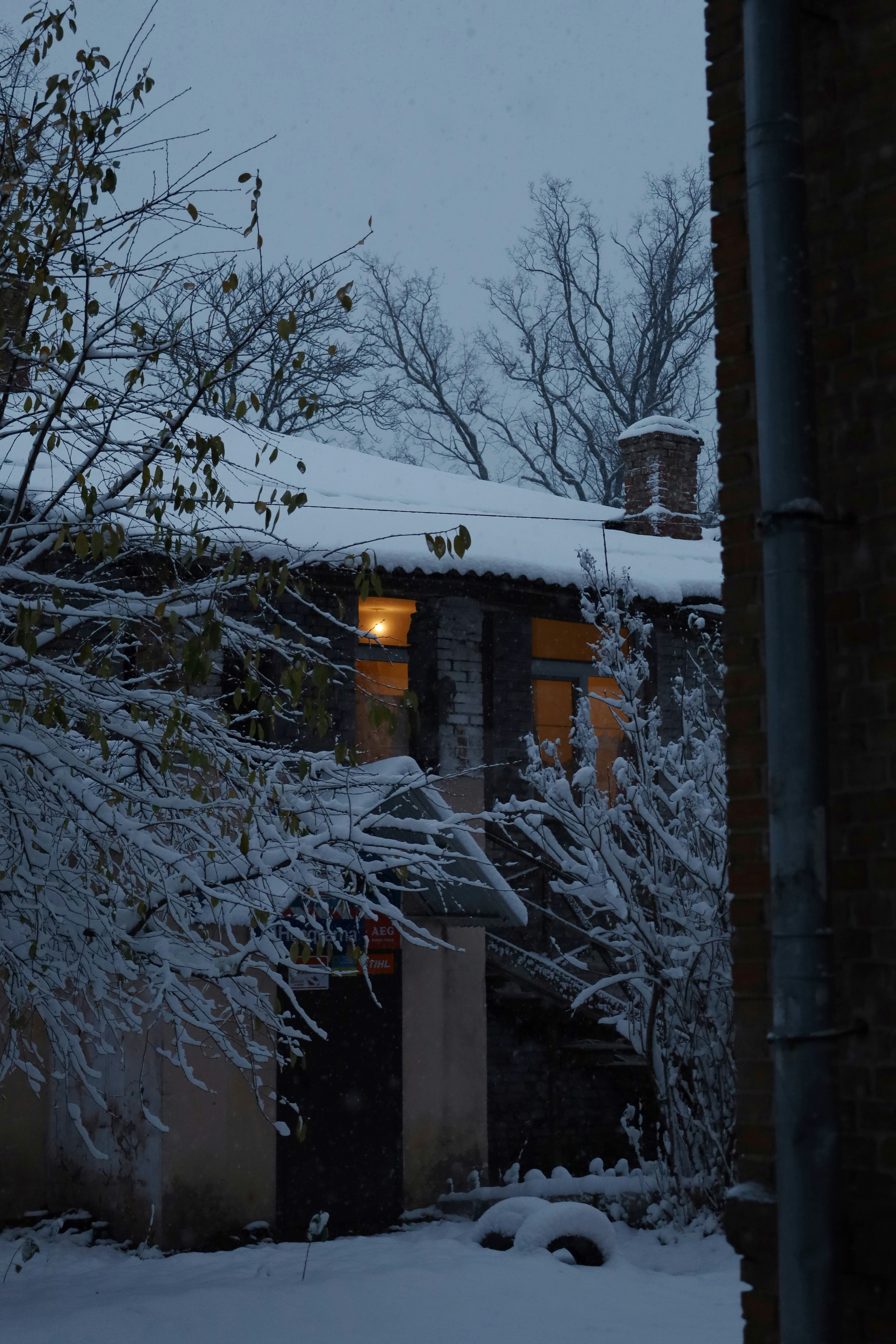 A house covered in snow next to a tree photo – Free House Image on Unsplash