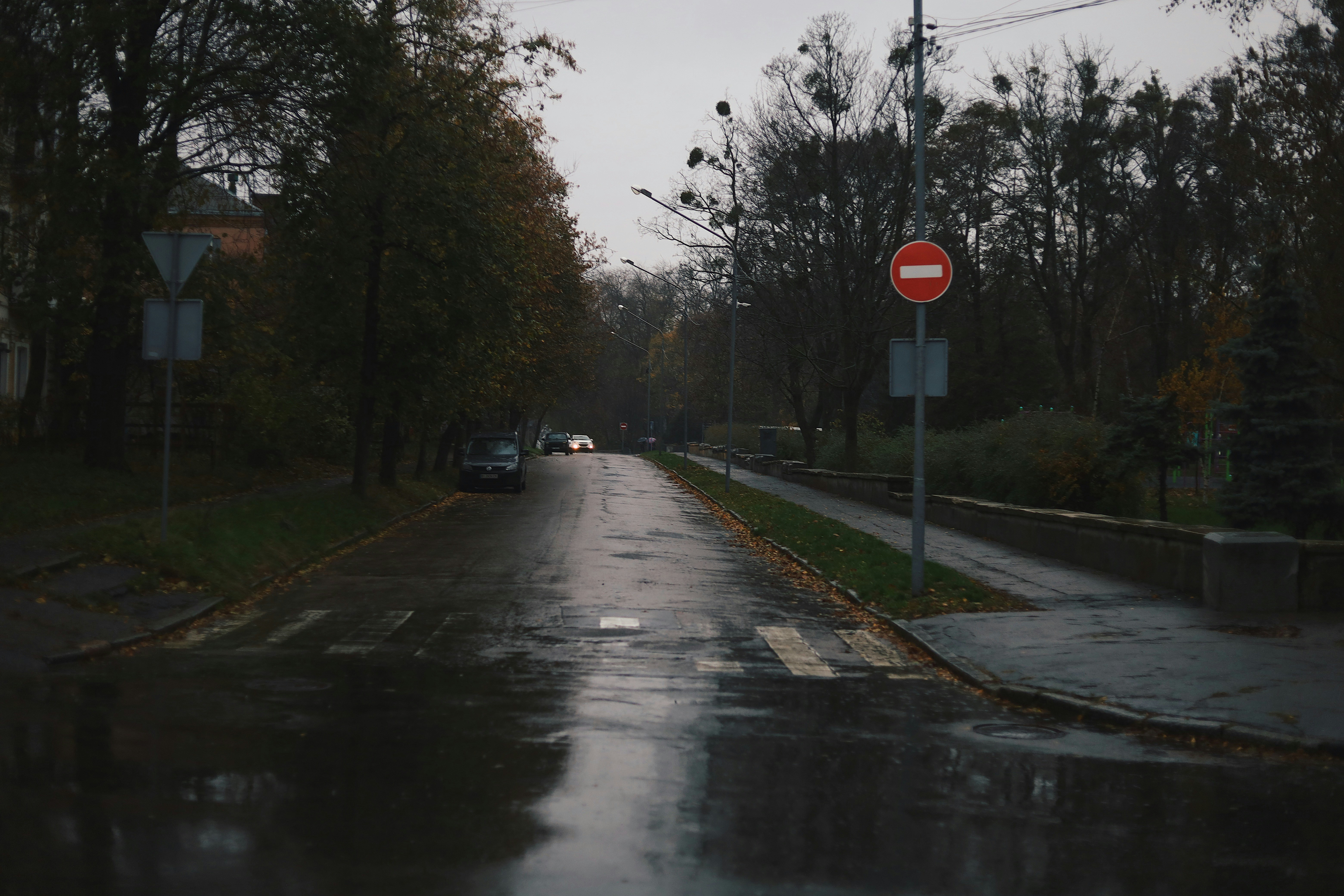 A rain-slicked street scene with a no-entry sign and trees lining the road, evoking a serene yet somber atmosphere.