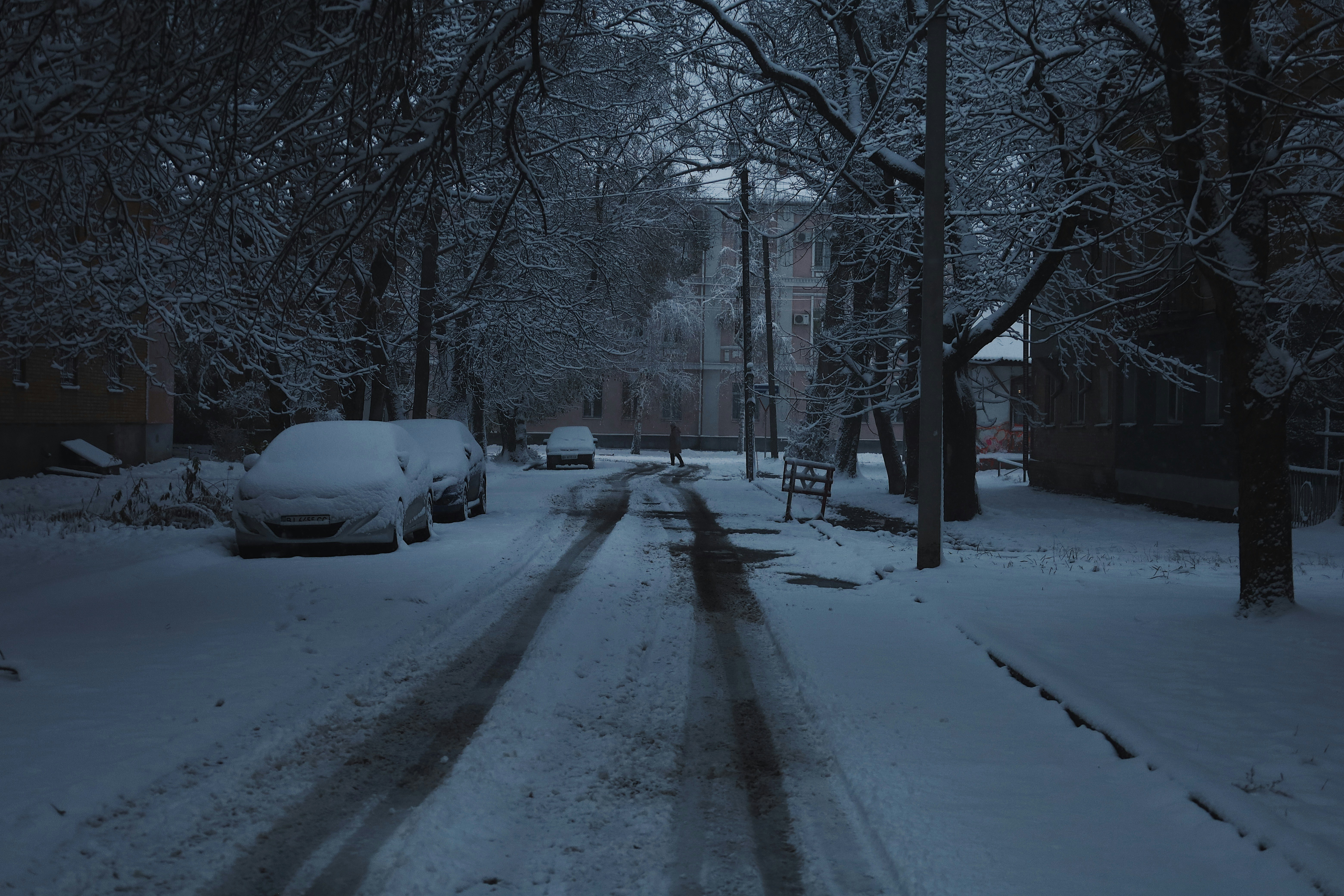 Snow-covered street lined with trees, where parked cars are blanketed in white. A serene atmosphere prevails under the muted winter light.