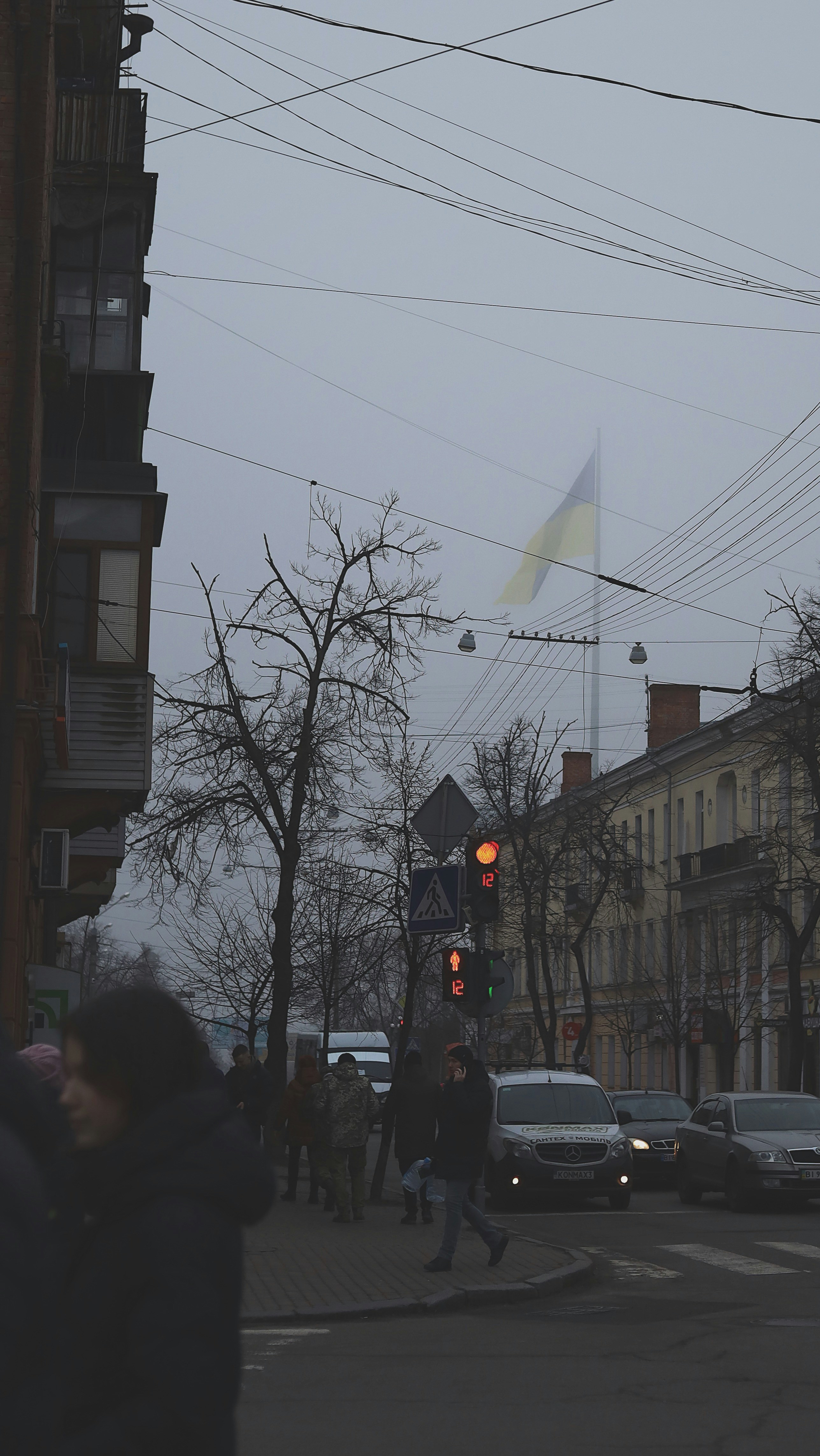 Photo by Roman Hnydin with Canon EOS RP