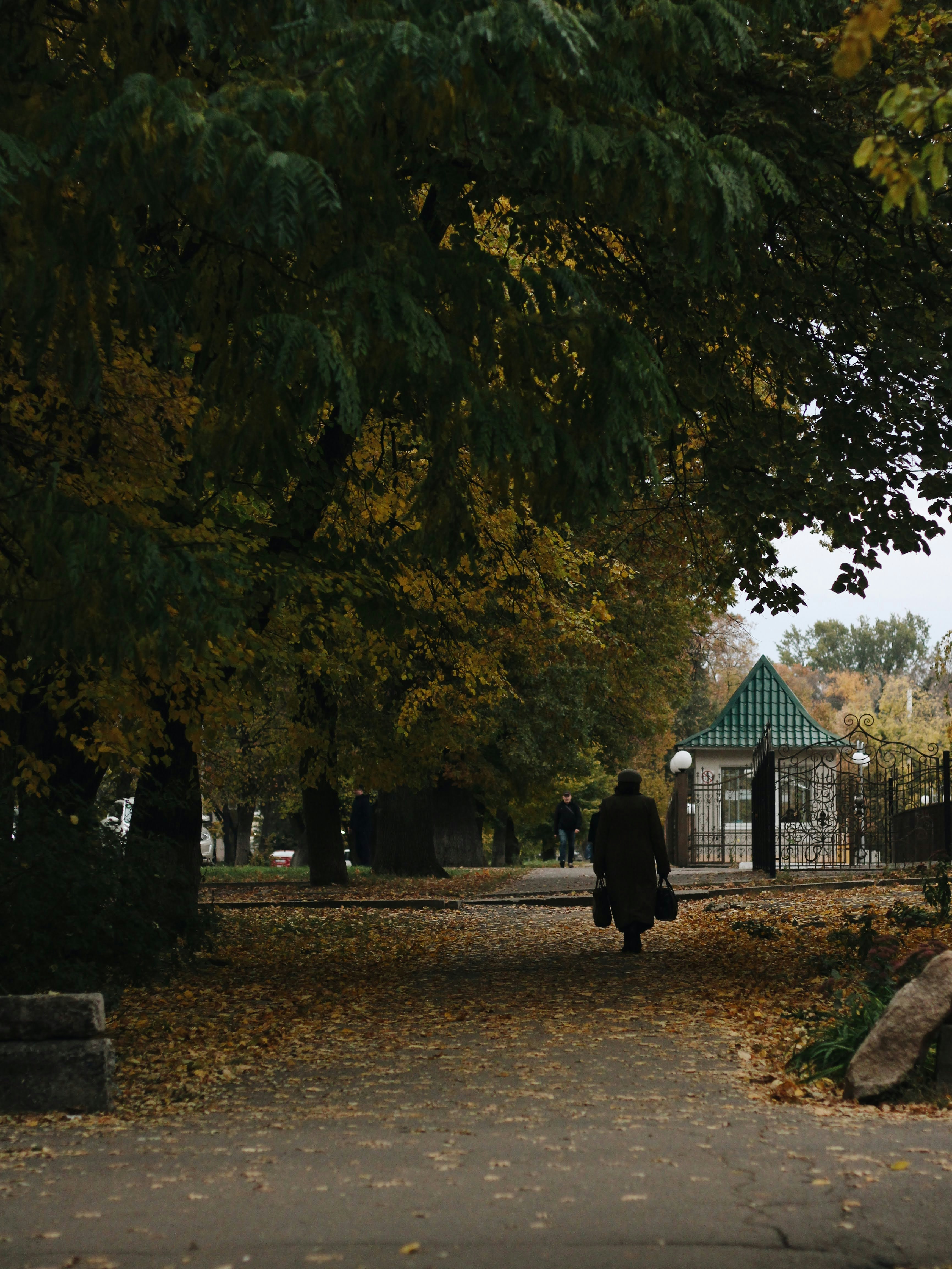 Una persona caminando por un sendero en un parque foto – Imagen de ...