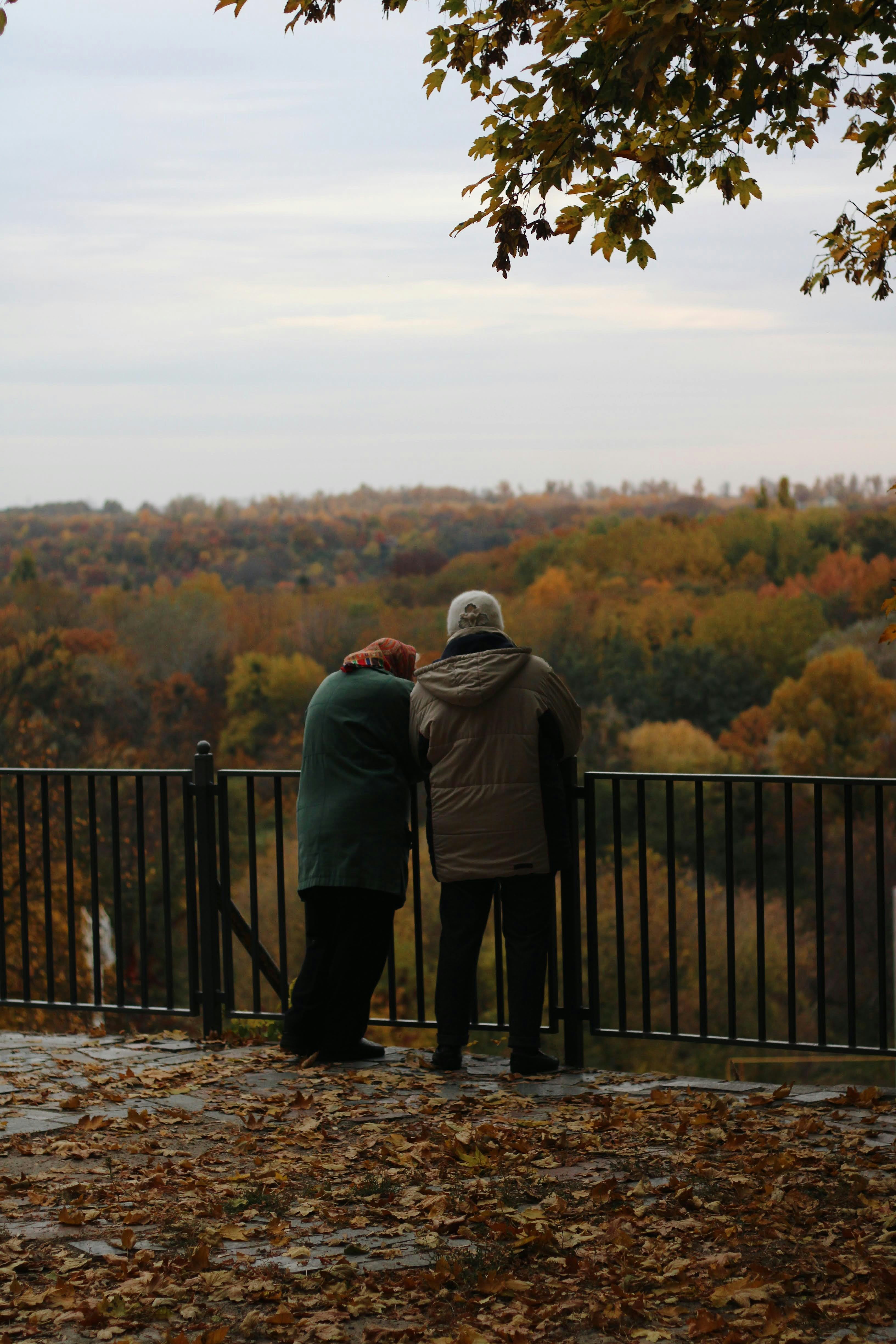 Autumn Echoes: Two Figures at the Edge of the View