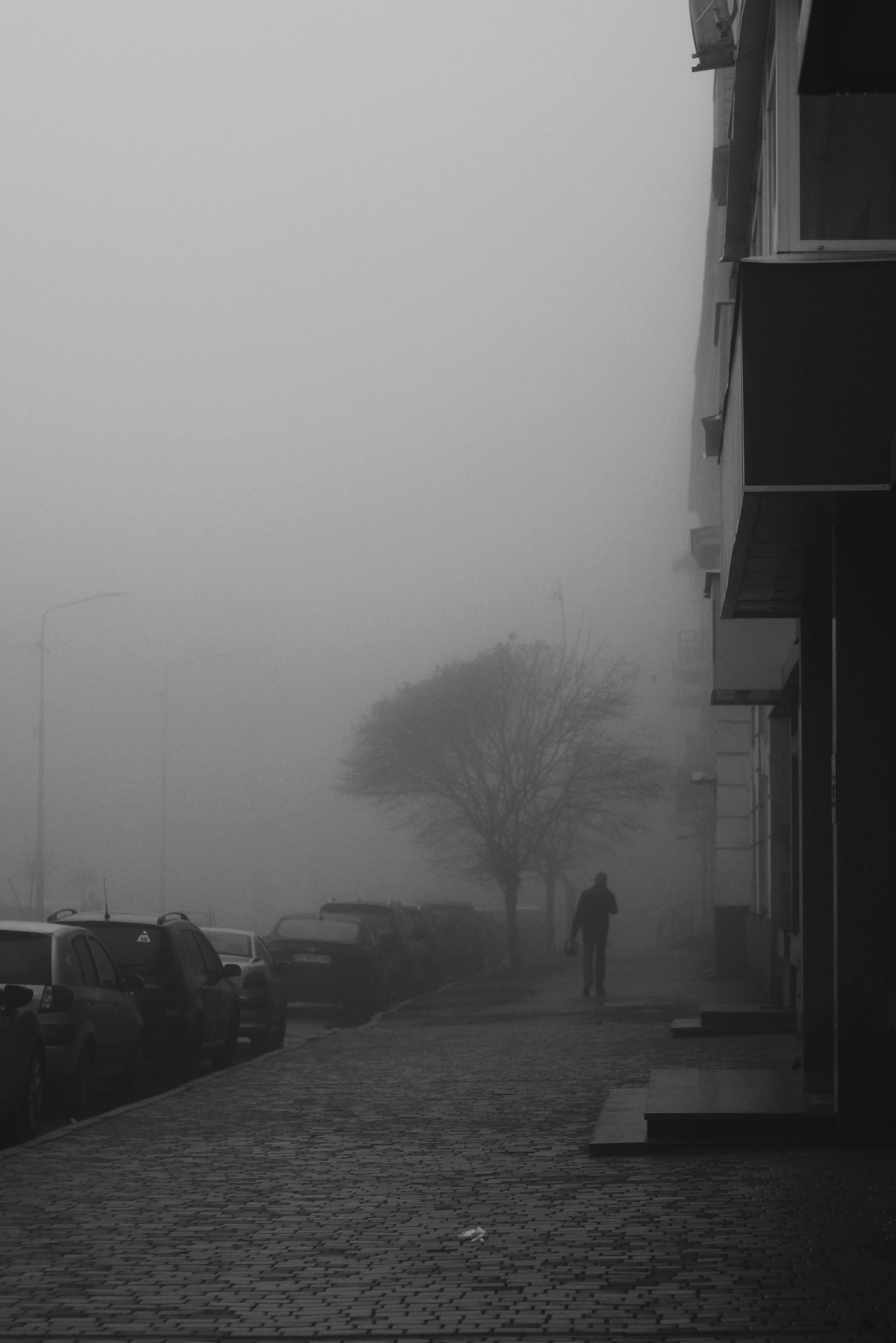 Lone silhouette in fog along a cobblestone city street