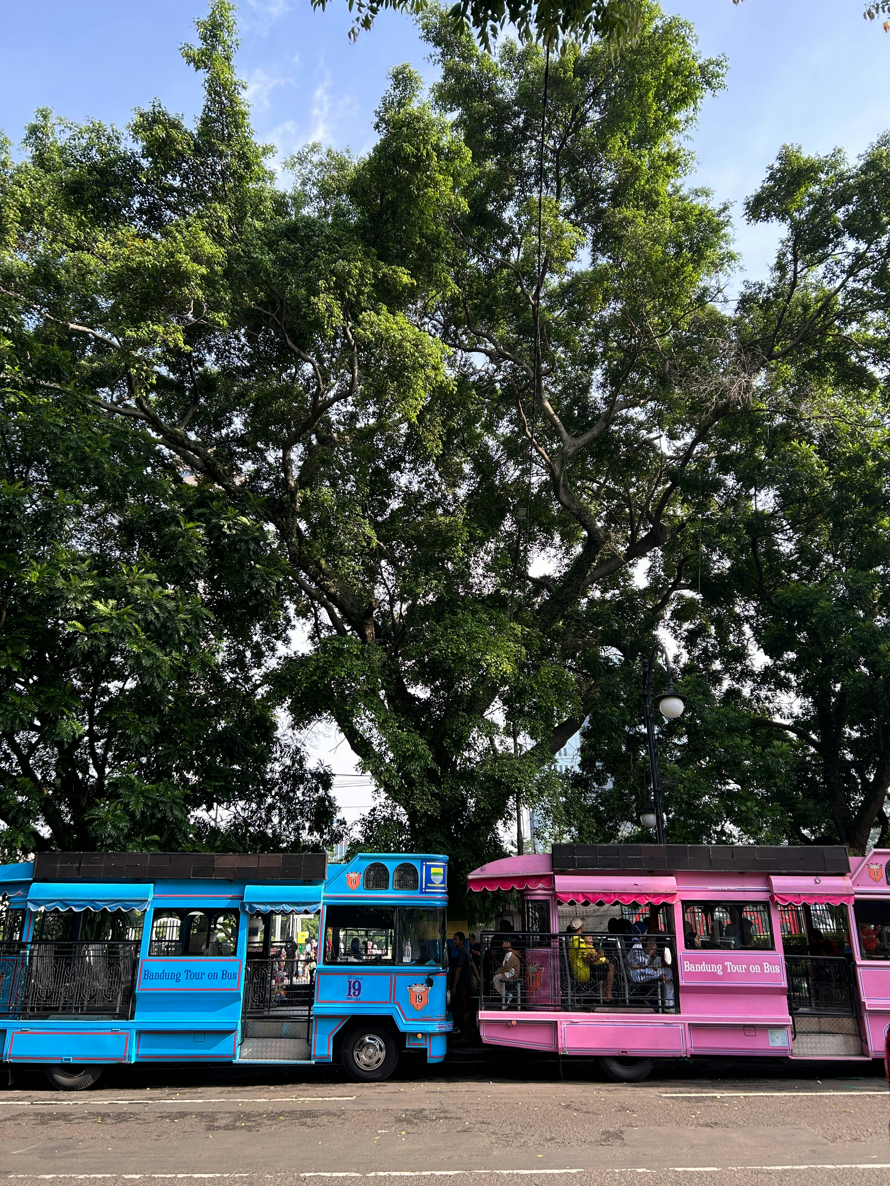 Pastel Tram Parade Framed by a Dense Green Canopy