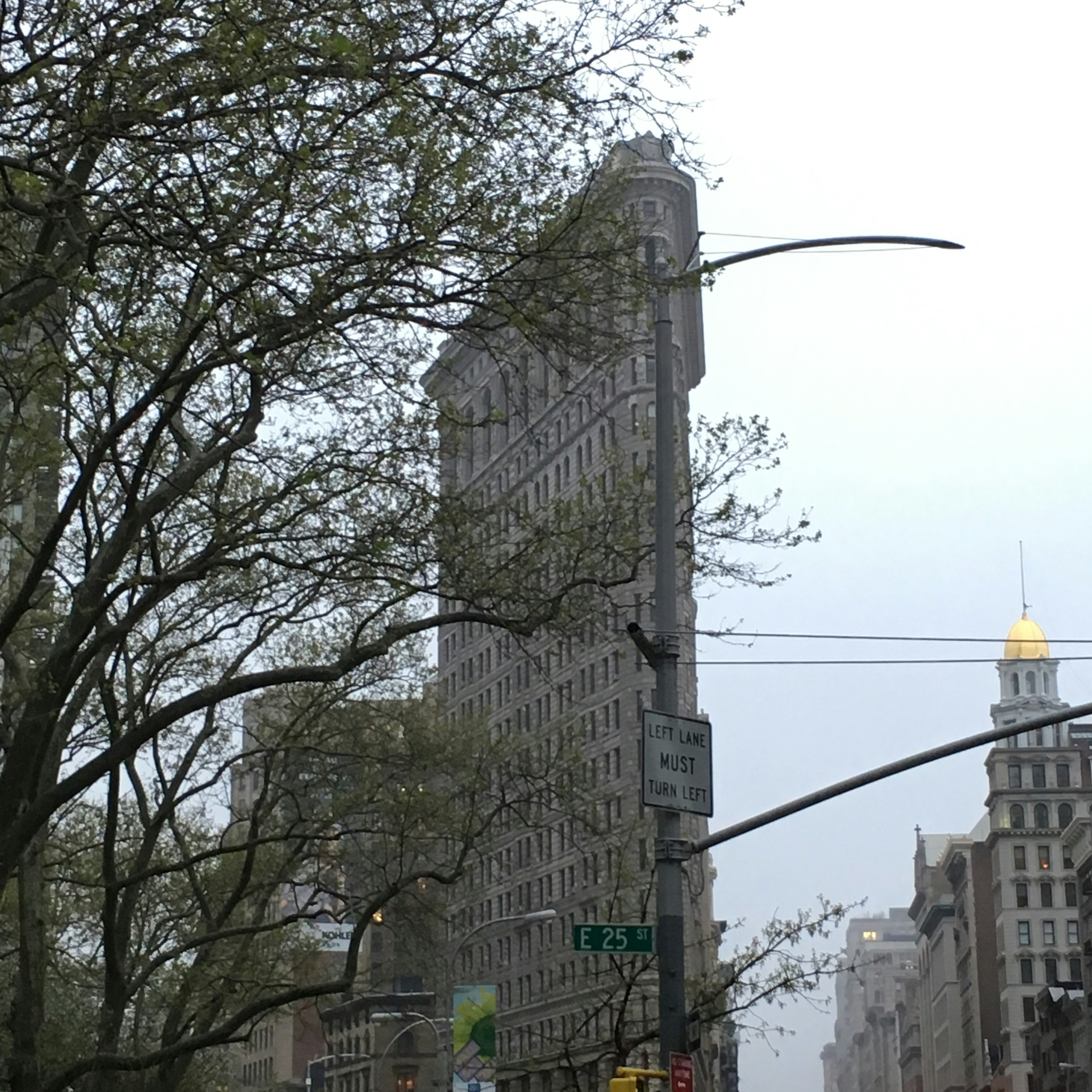 Towering in the Gray: A Neo-Gothic Form Rises Over a Tree-Lined City Block