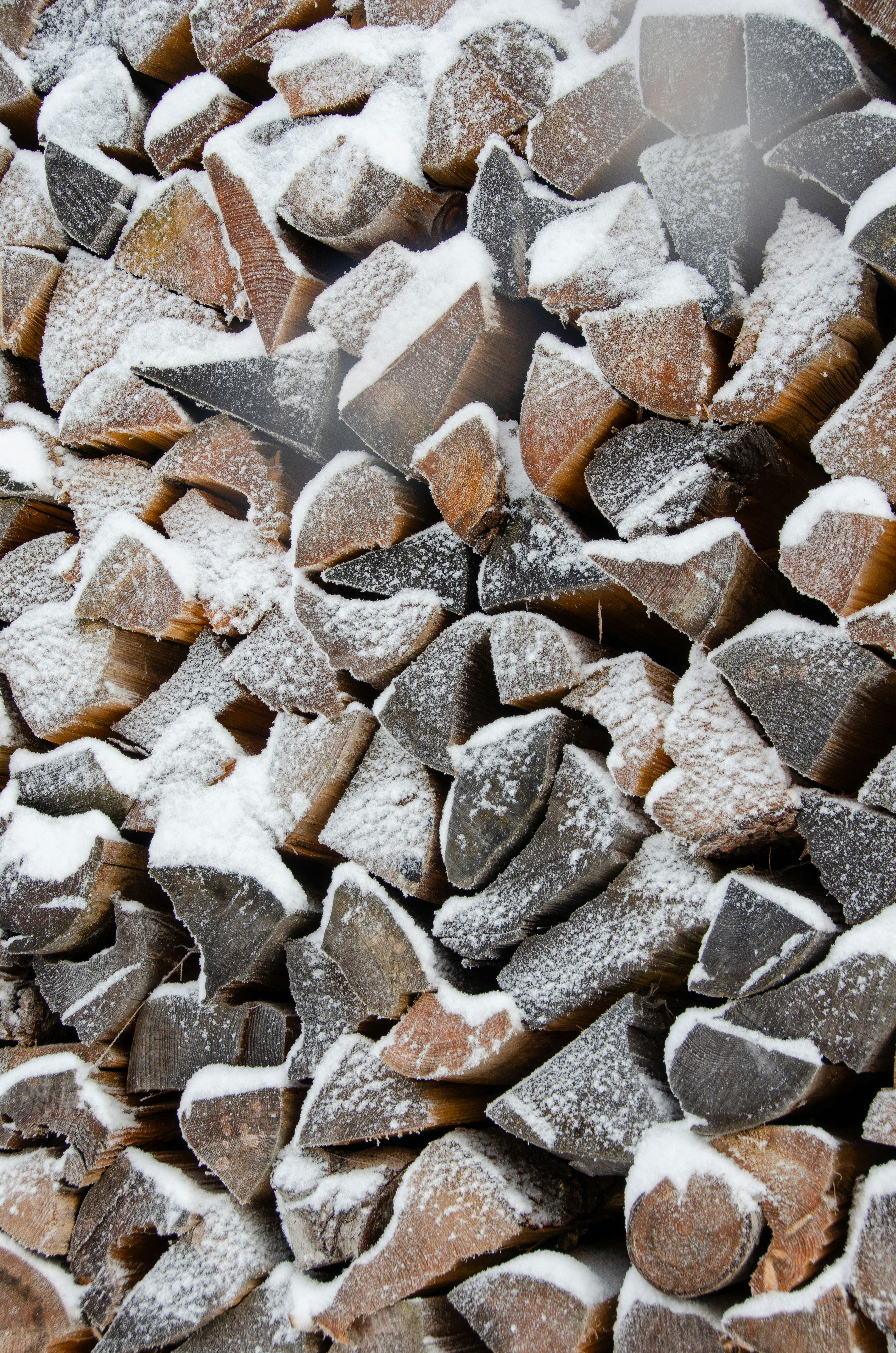 A pile of wood chips covered in snow photo – Free Switzerland Image on ...