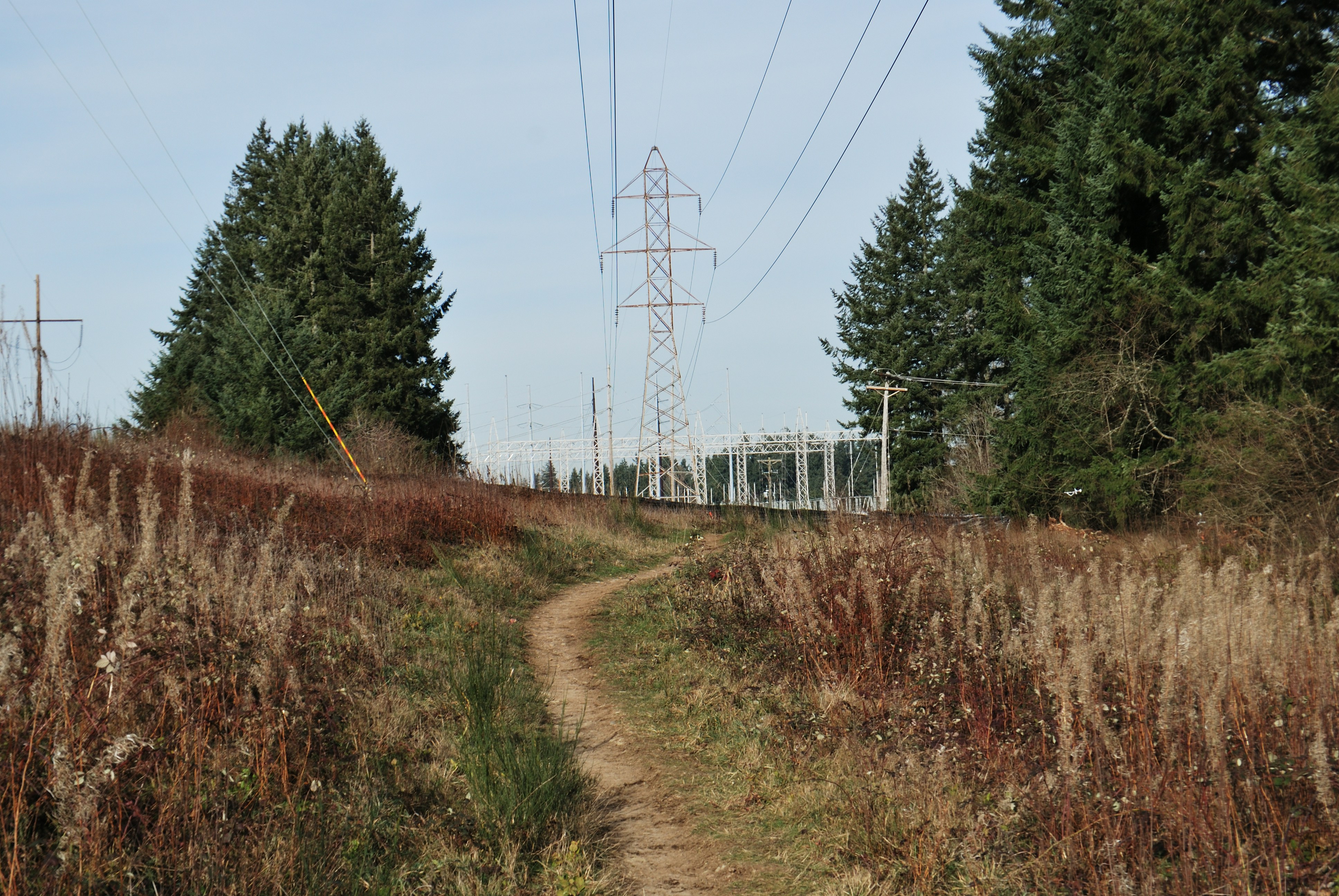Power Walk Pictures | Download Free Images on Unsplash