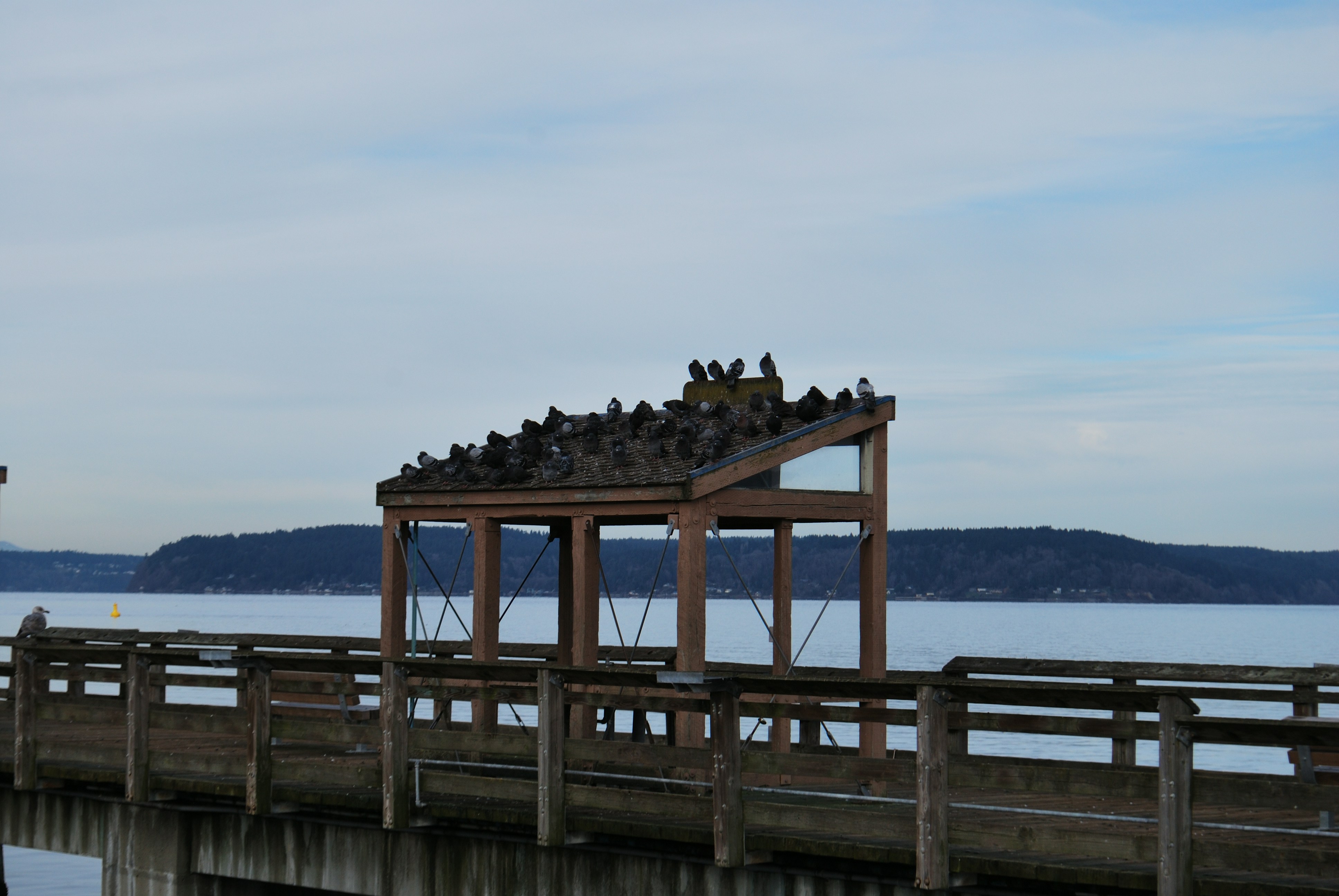 Photo by Evan Aker with Nikon D60