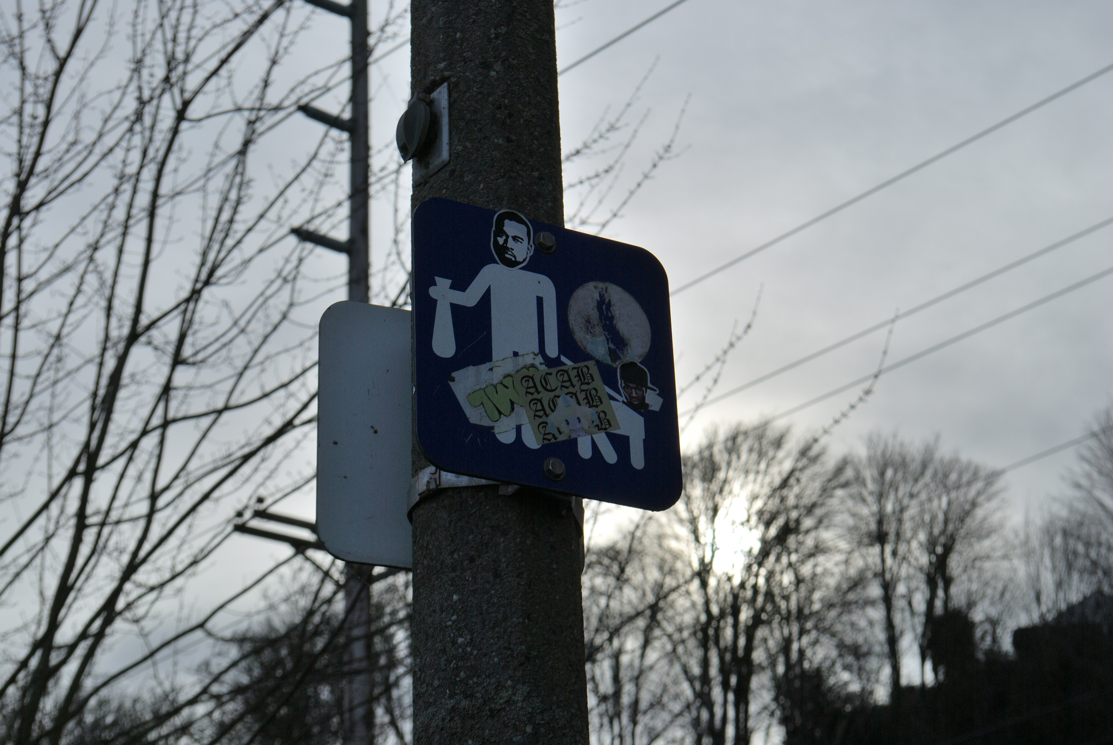 Stickered Blue Signpost Under a Winter-Gray Sky