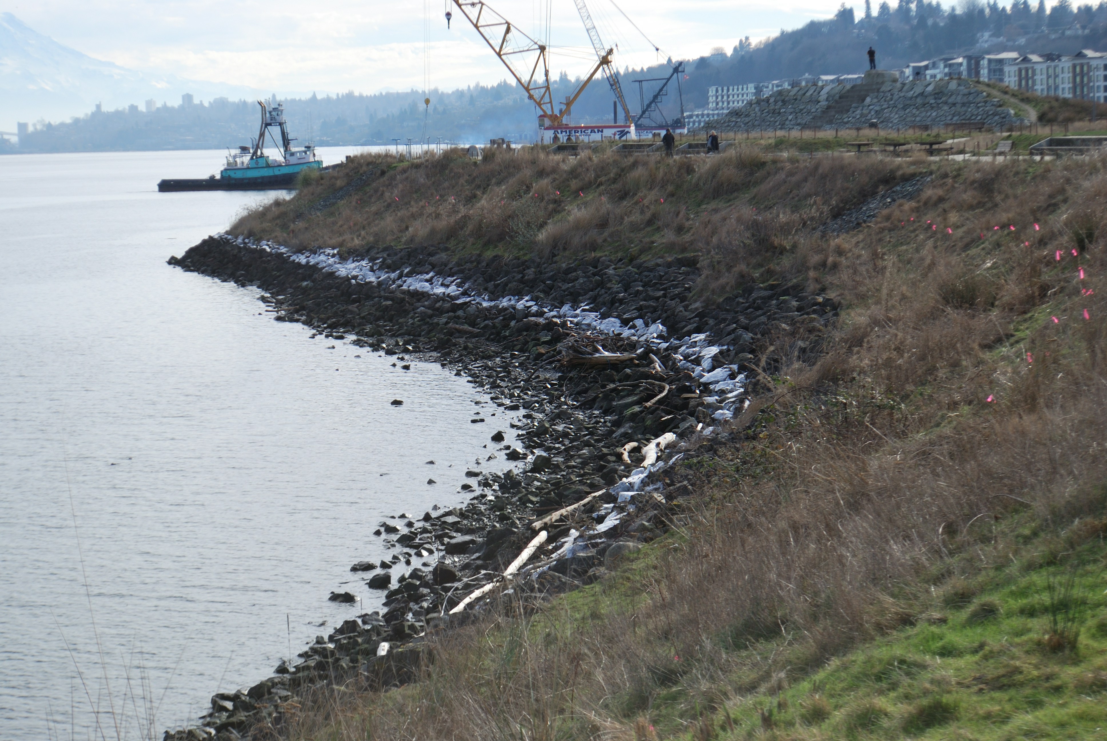 Crane Horizon Over a Winding Harbor Shore