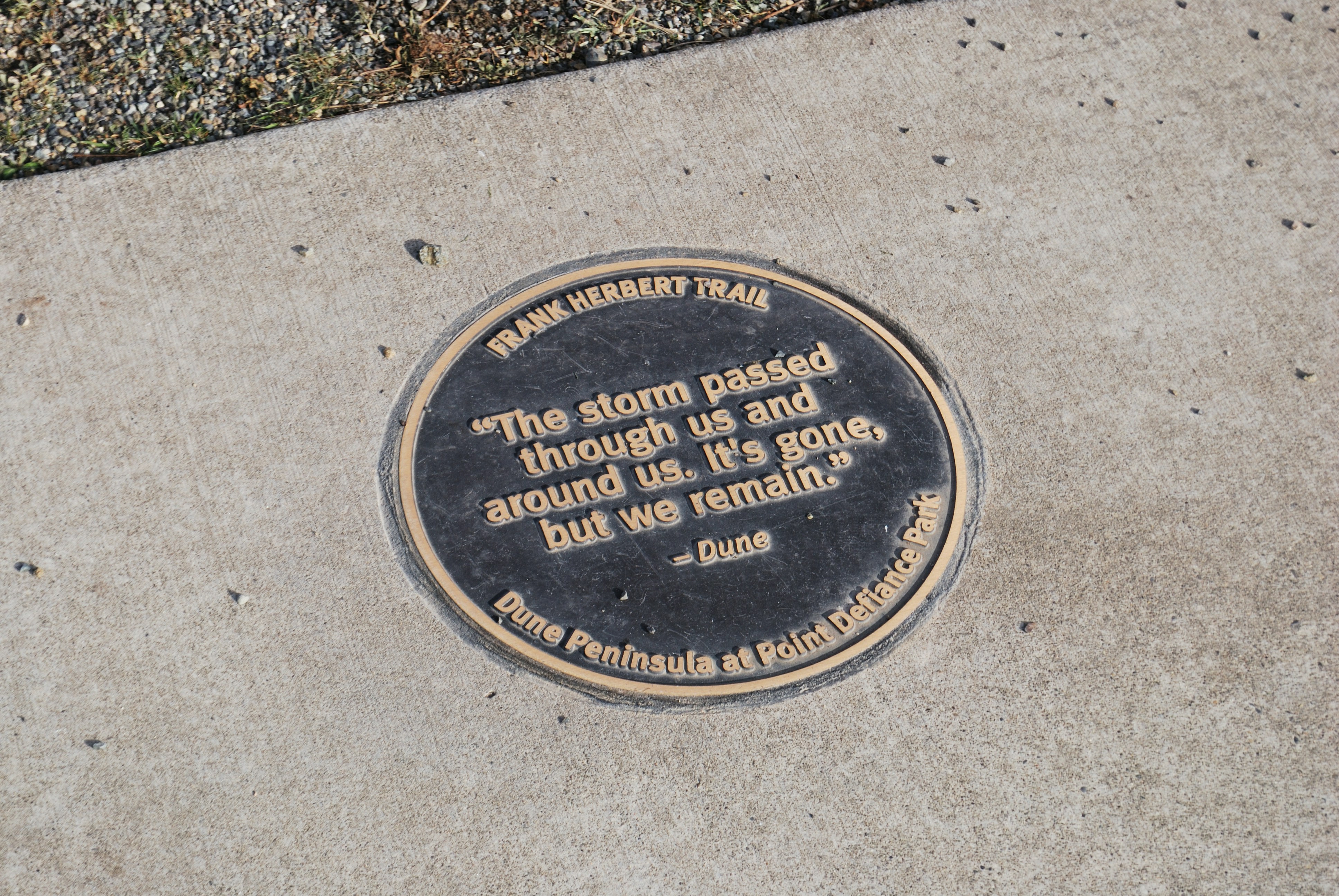 Whispered Resilience on Concrete: A Circular Plaque in the Sun