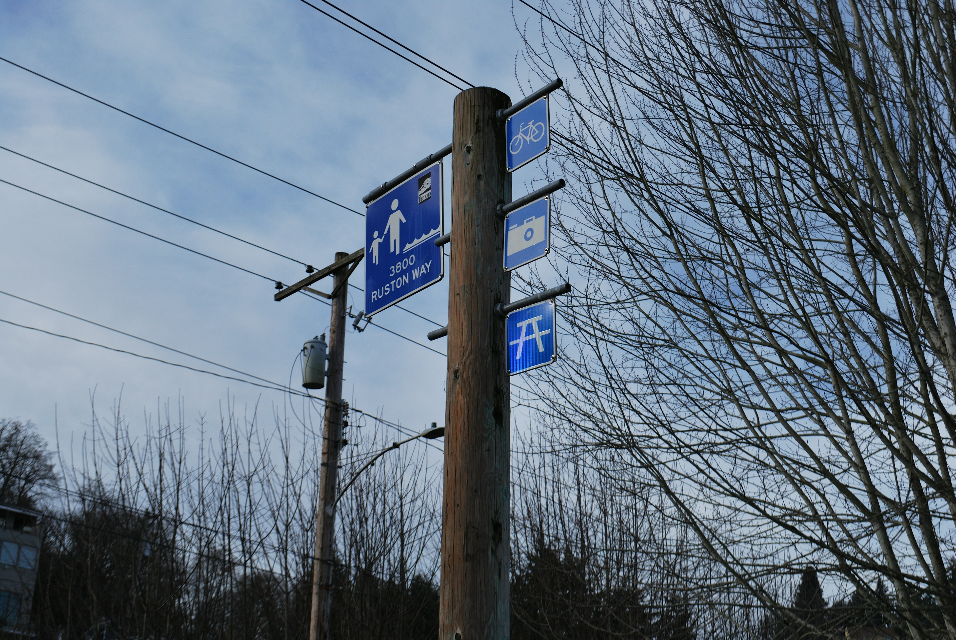 A blue street sign hanging from a wooden pole photo – Free Blue Image ...