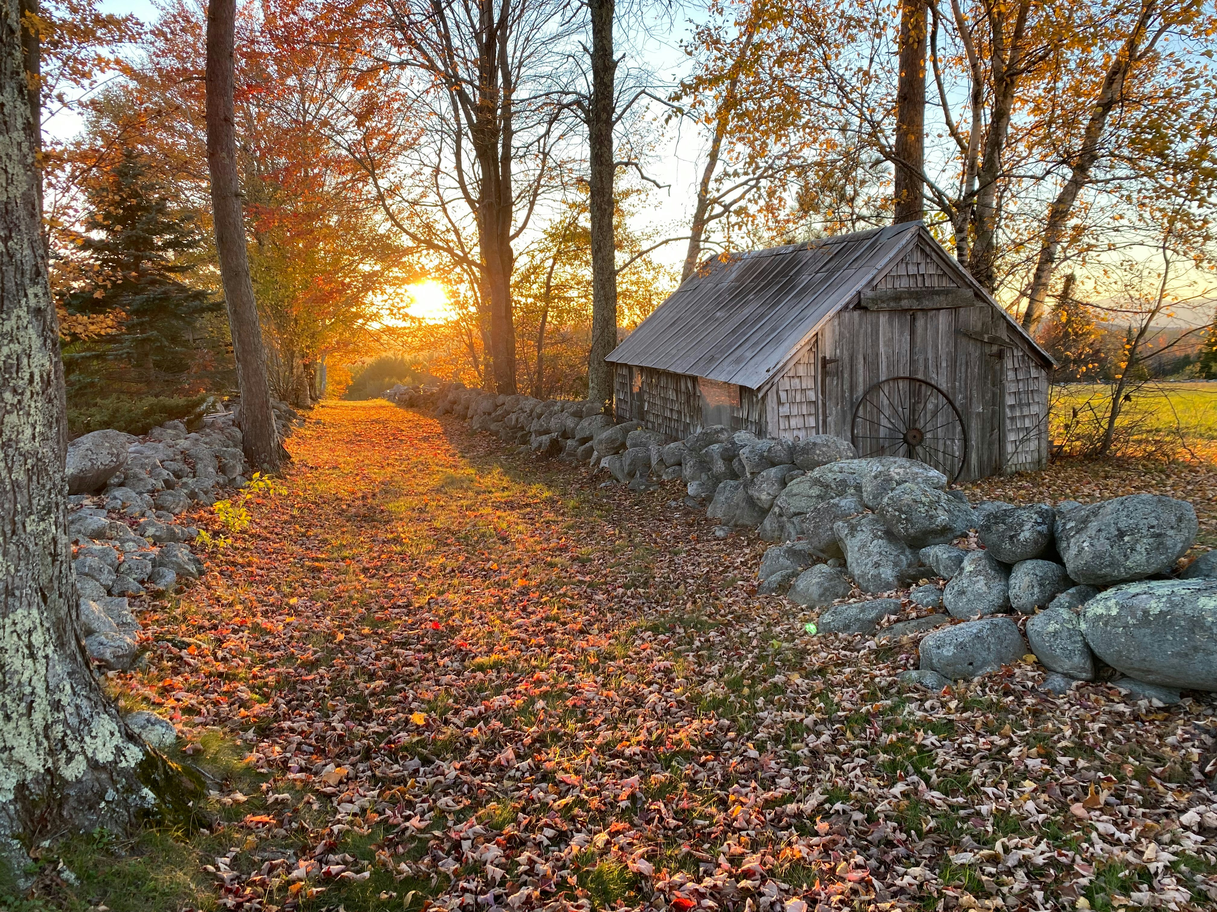 Rustic Retreat at Golden Hour