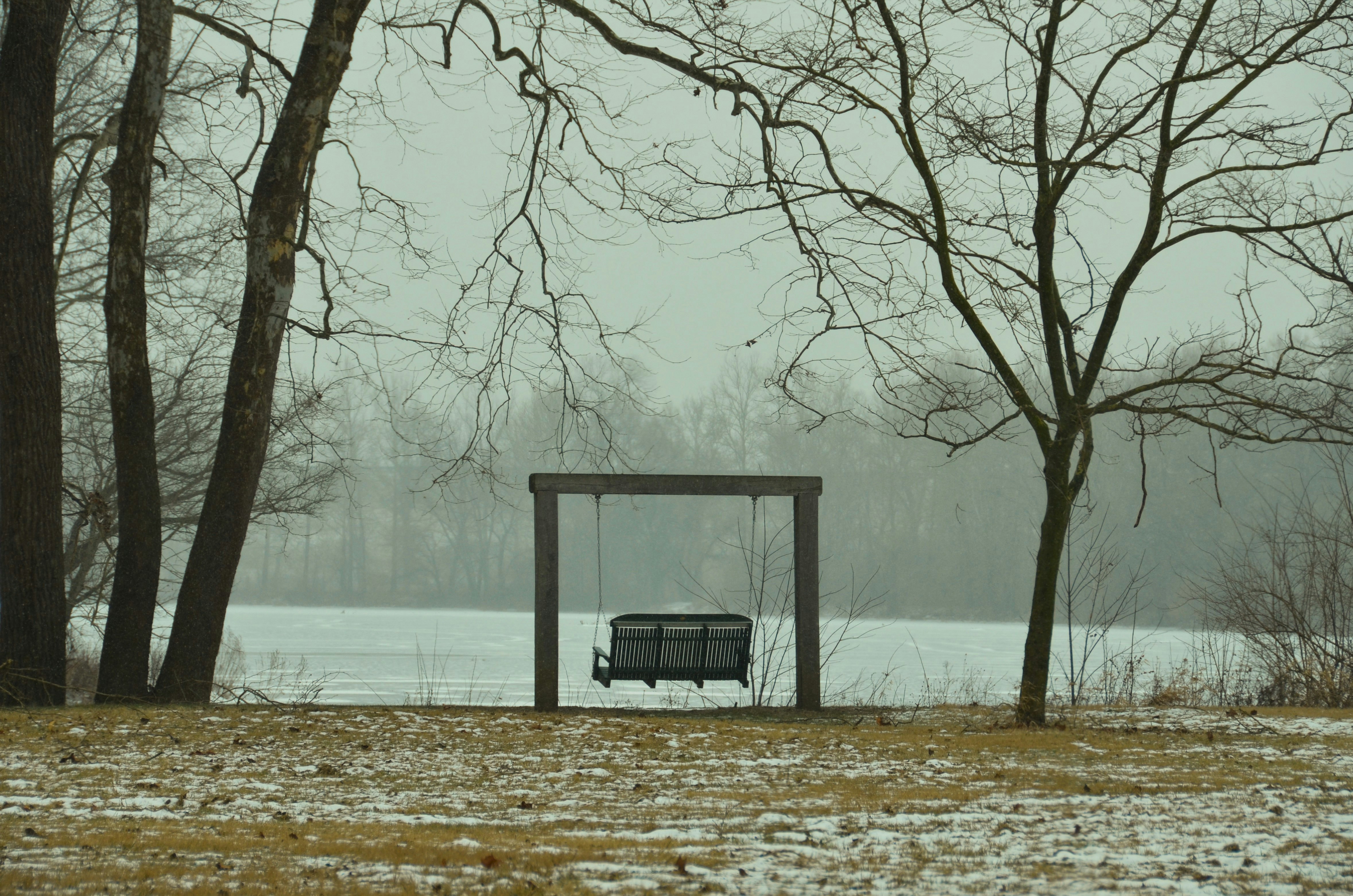 A swing in the middle of a snowy field photo – Free Winter Image on ...