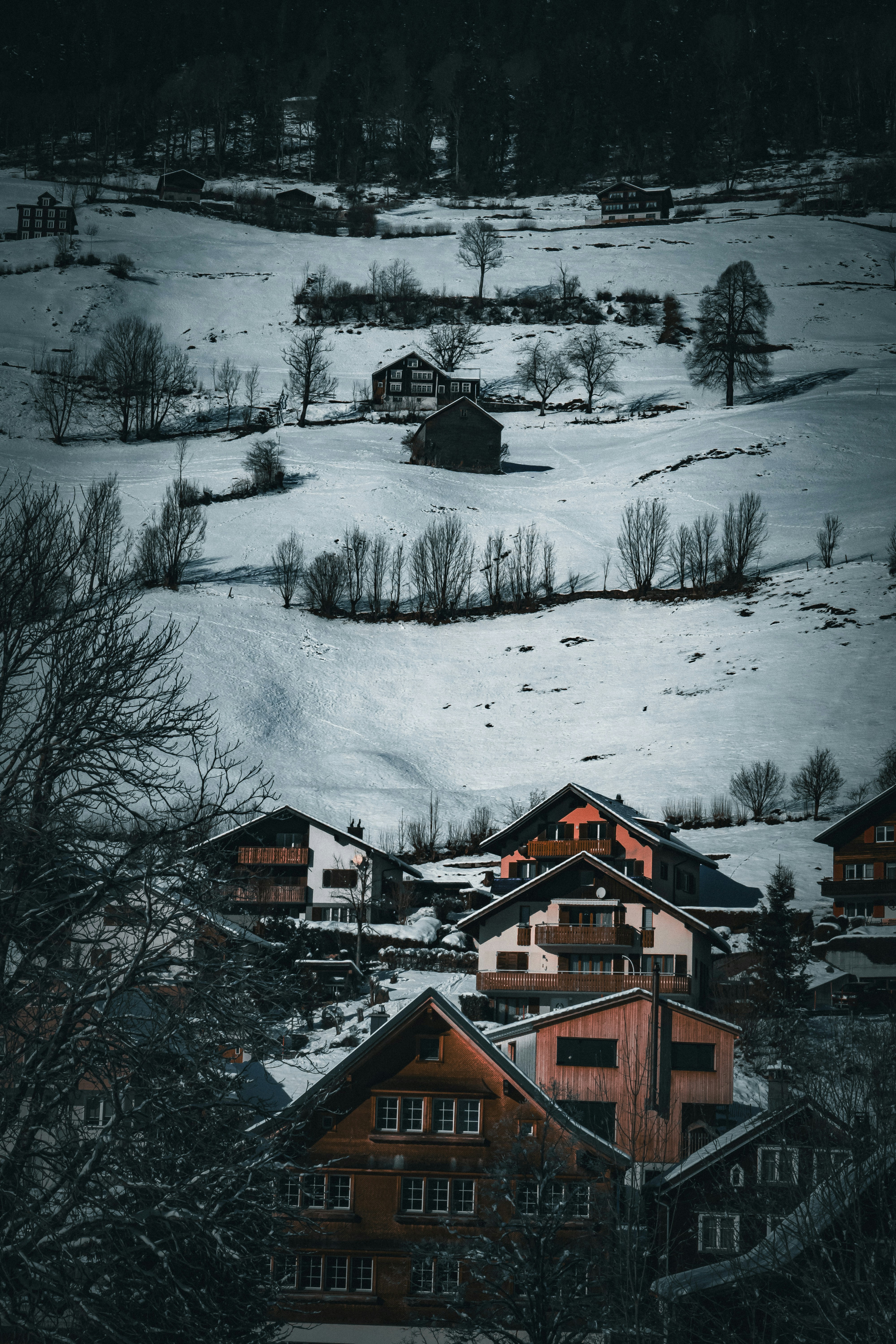 Snow-covered houses nestled in a tranquil valley, surrounded by stark, frosted trees and rolling hills. The scene evokes a serene winter atmosphere.