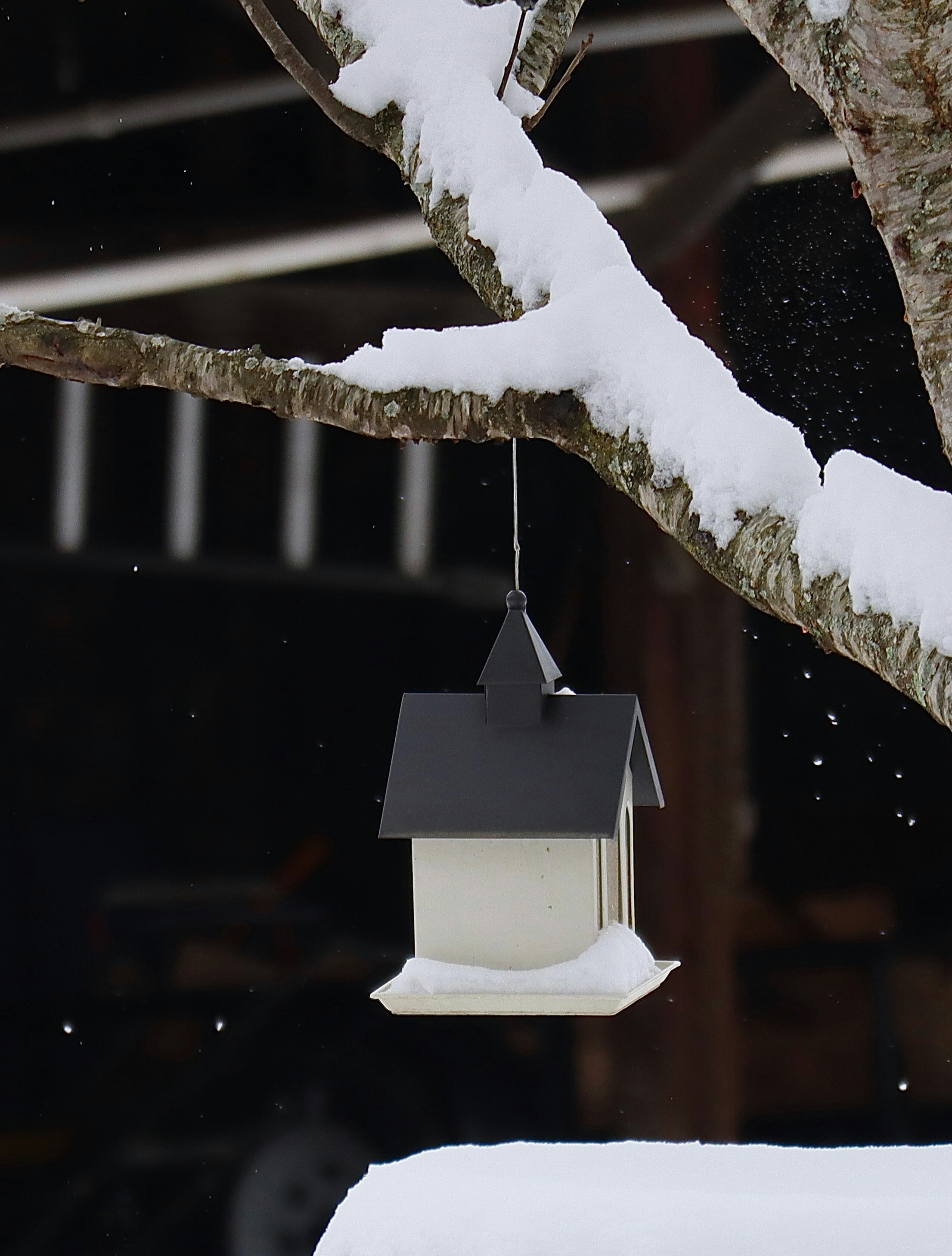Snowy Lantern: A Lantern Pendant Adrift Above Winter Branches