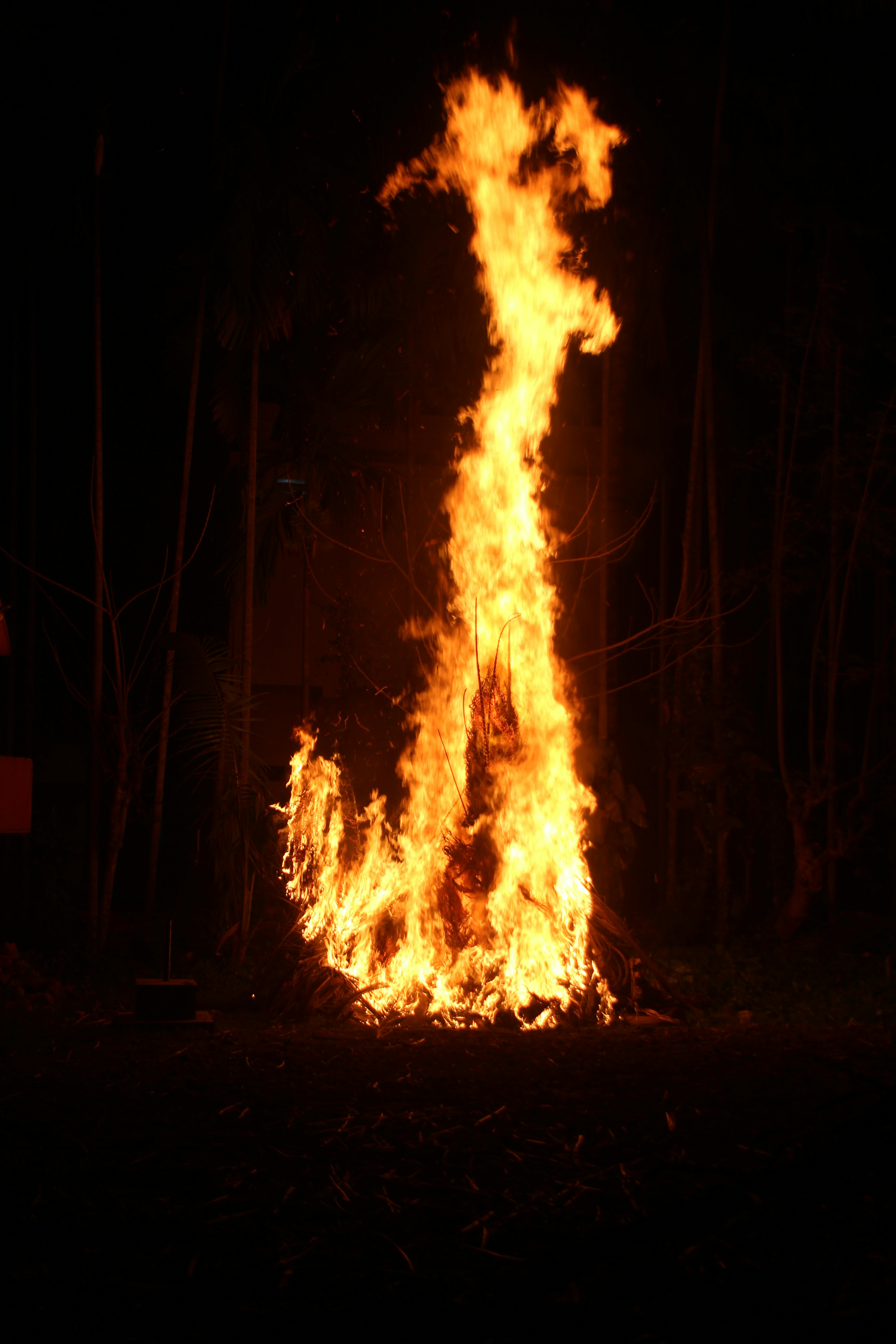 Nightward Pillar: A solitary bonfire surges upward from the forest floor.
