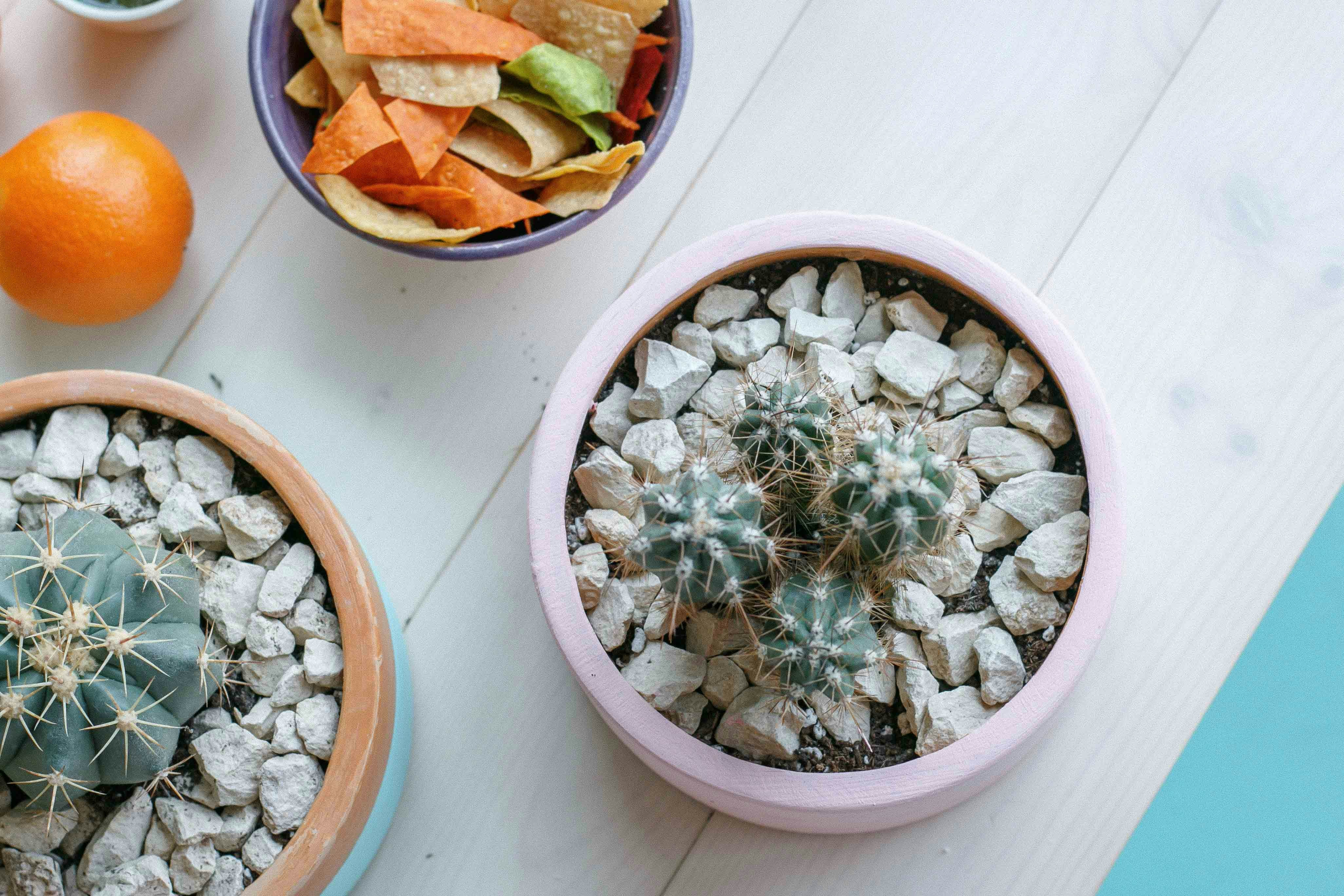 Desert Pottery and Citrus Corner