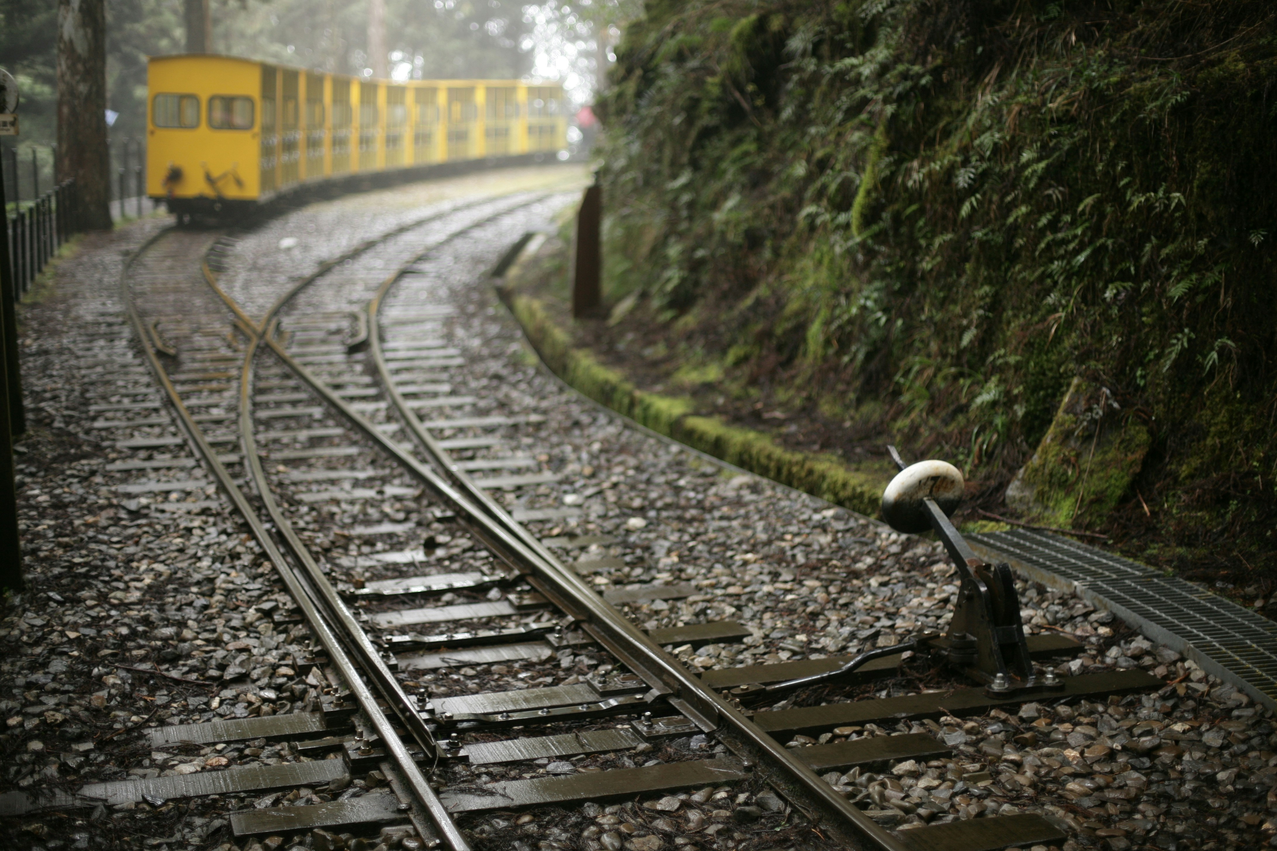 Curved Rails, Quiet Switch: A Distant Yellow Train’s Pause