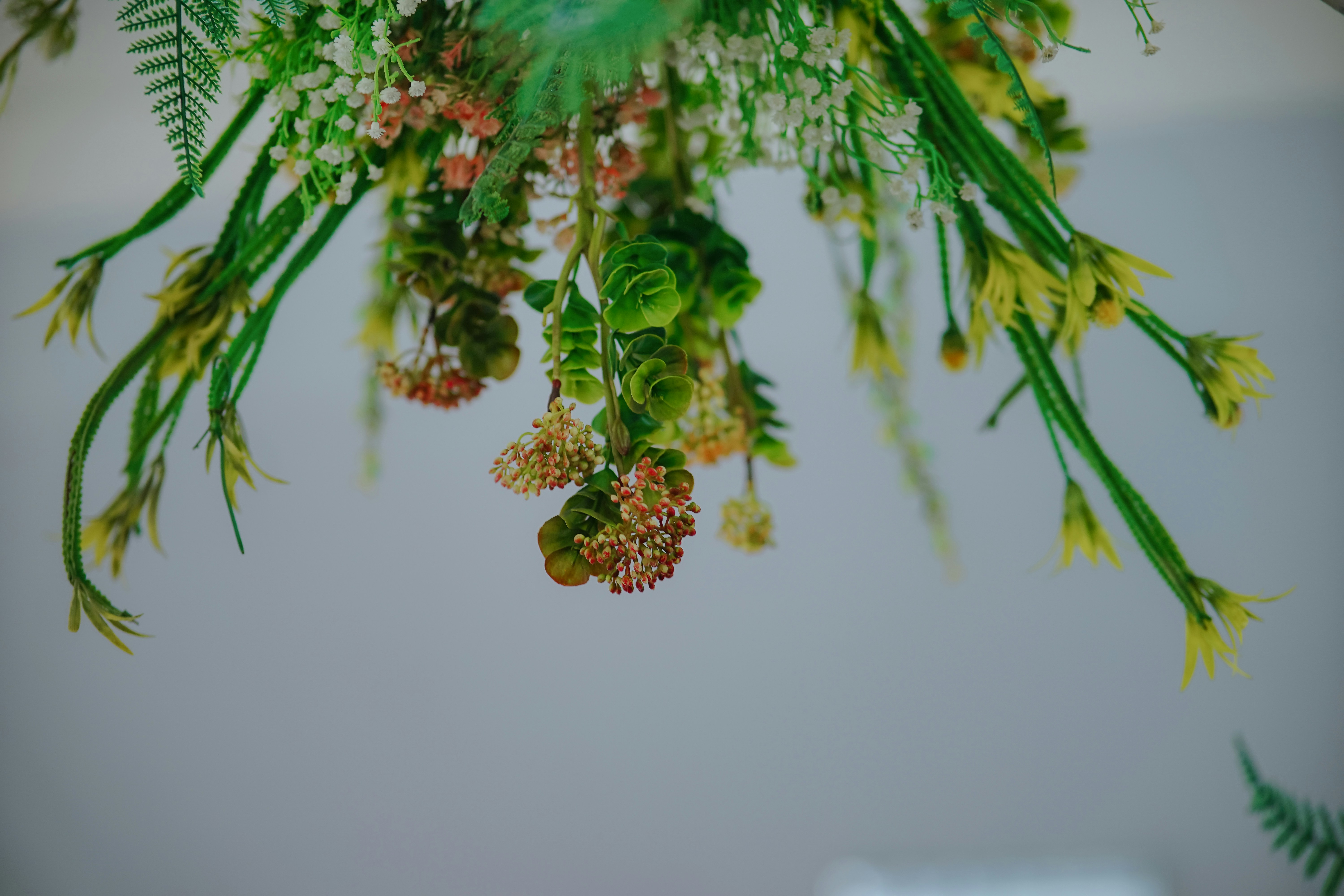 Suspended Bloom Cascade: Green Ferns and Pink Buds in Soft Backlight