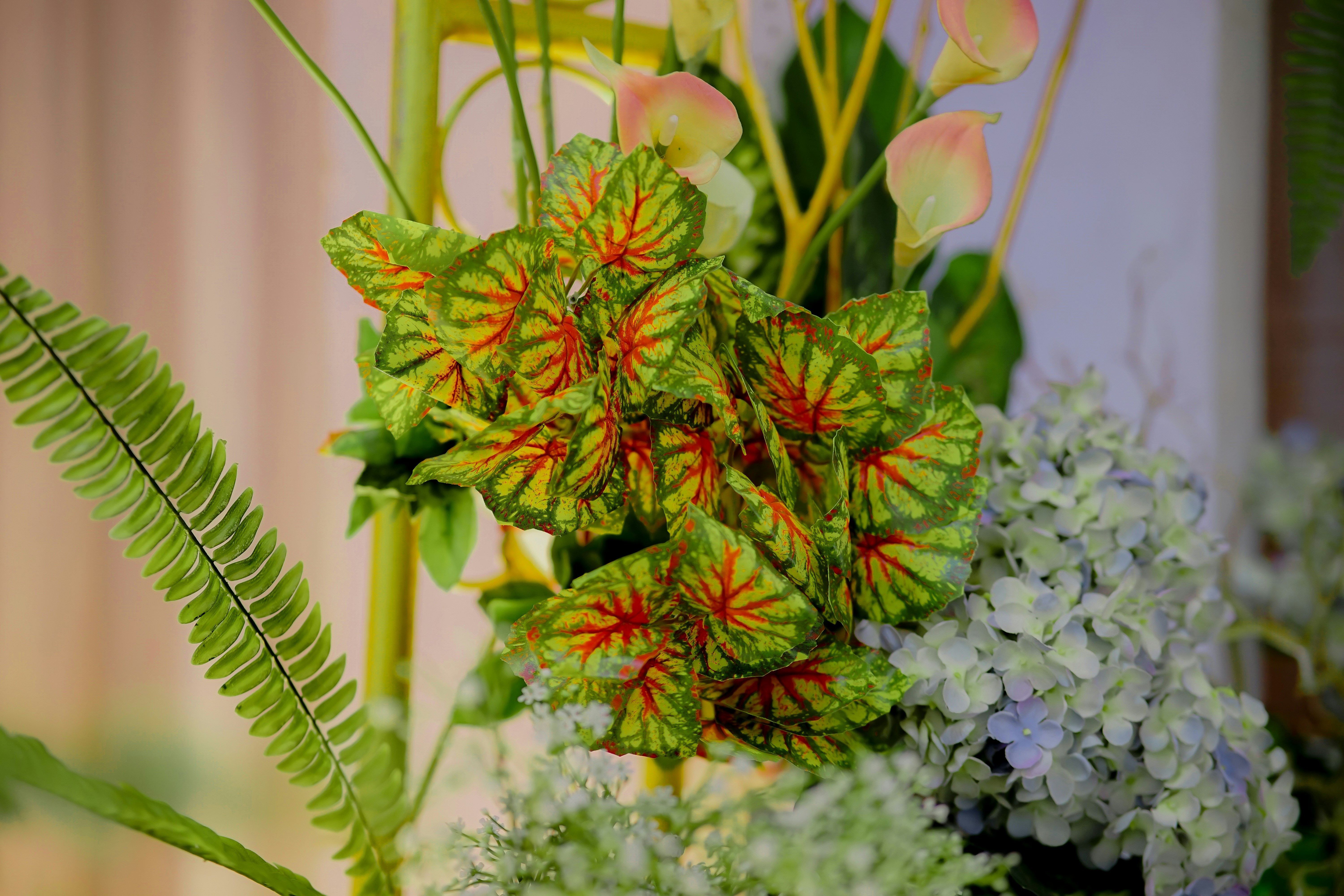 Crimson Veins Pop Against Powder-Blue Hydrangeas