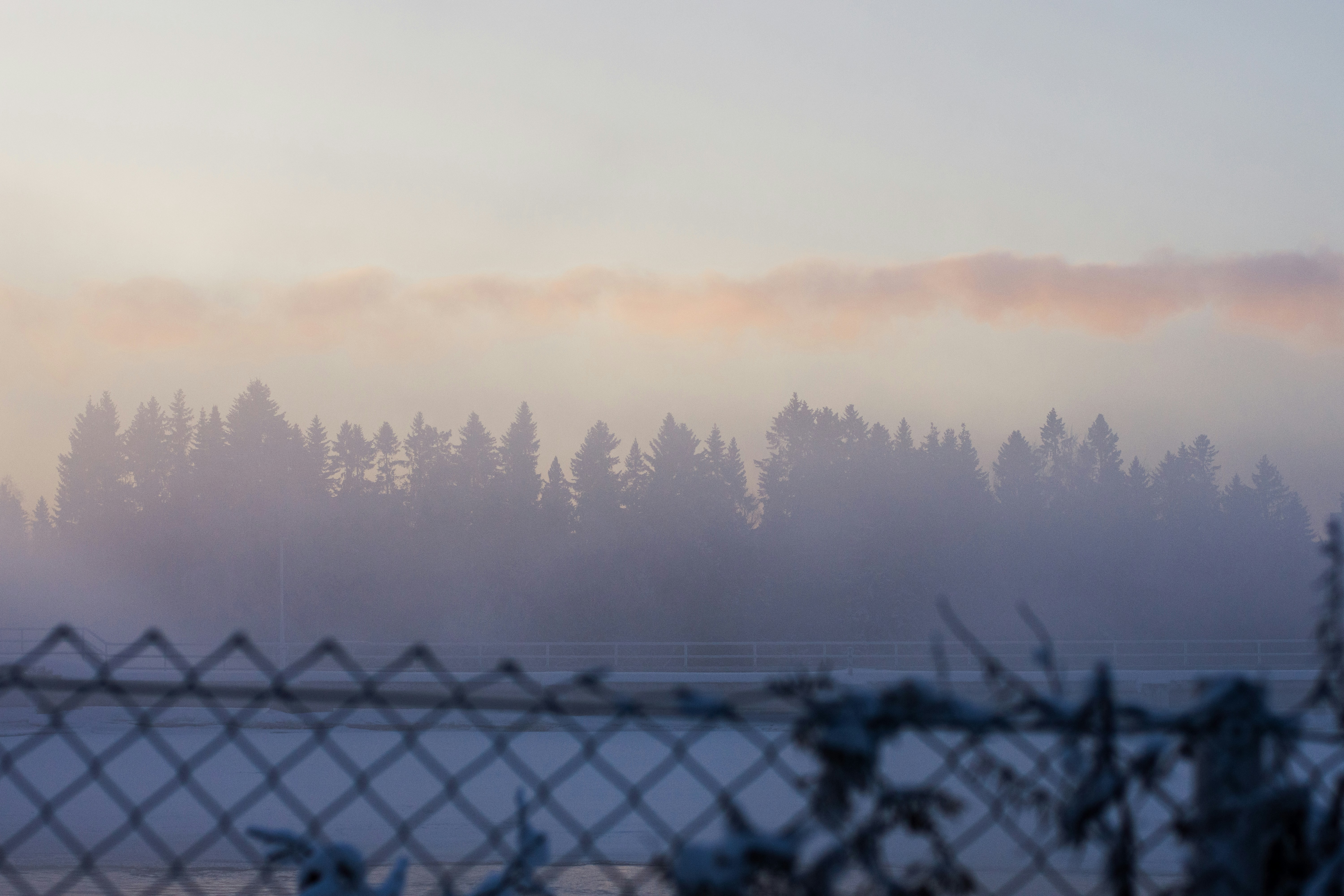 Whispers of Dawn Through the Mist
