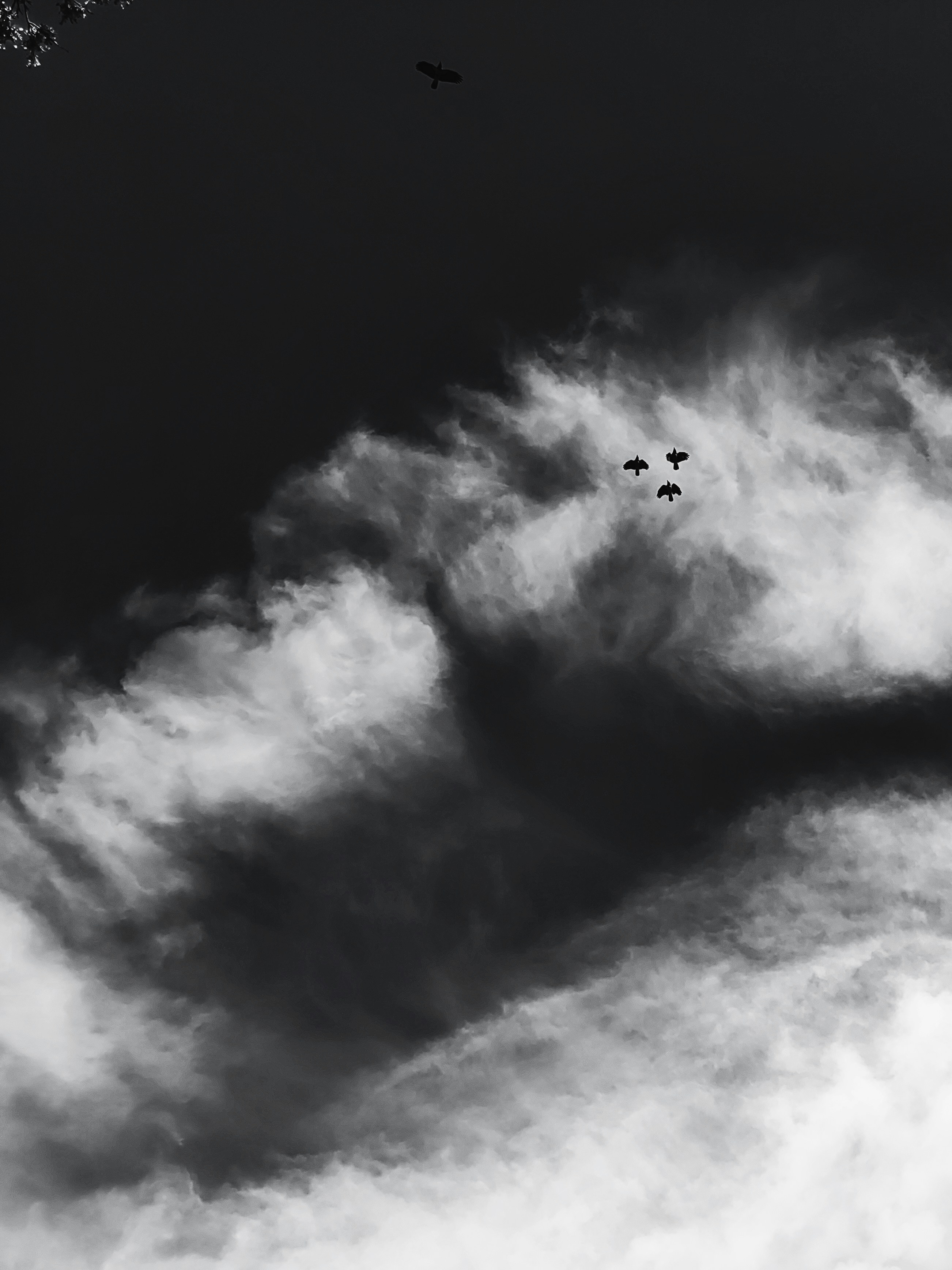 Photo by Ashkan Ala with Xiaomi Mi 11 Lite NE