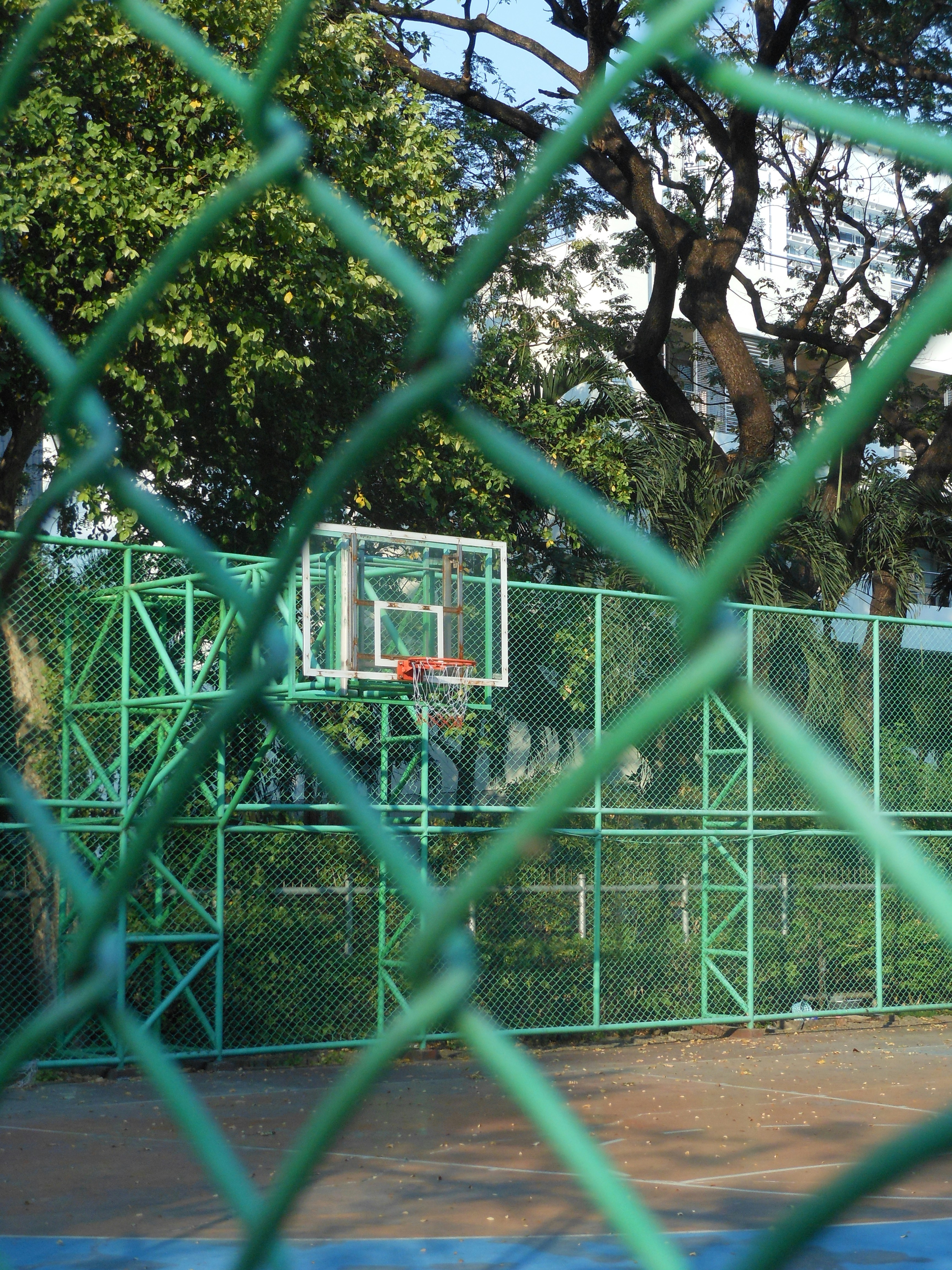 Basketball hoop framed by a teal chain-link fence on an outdoor court, with trees in the background.