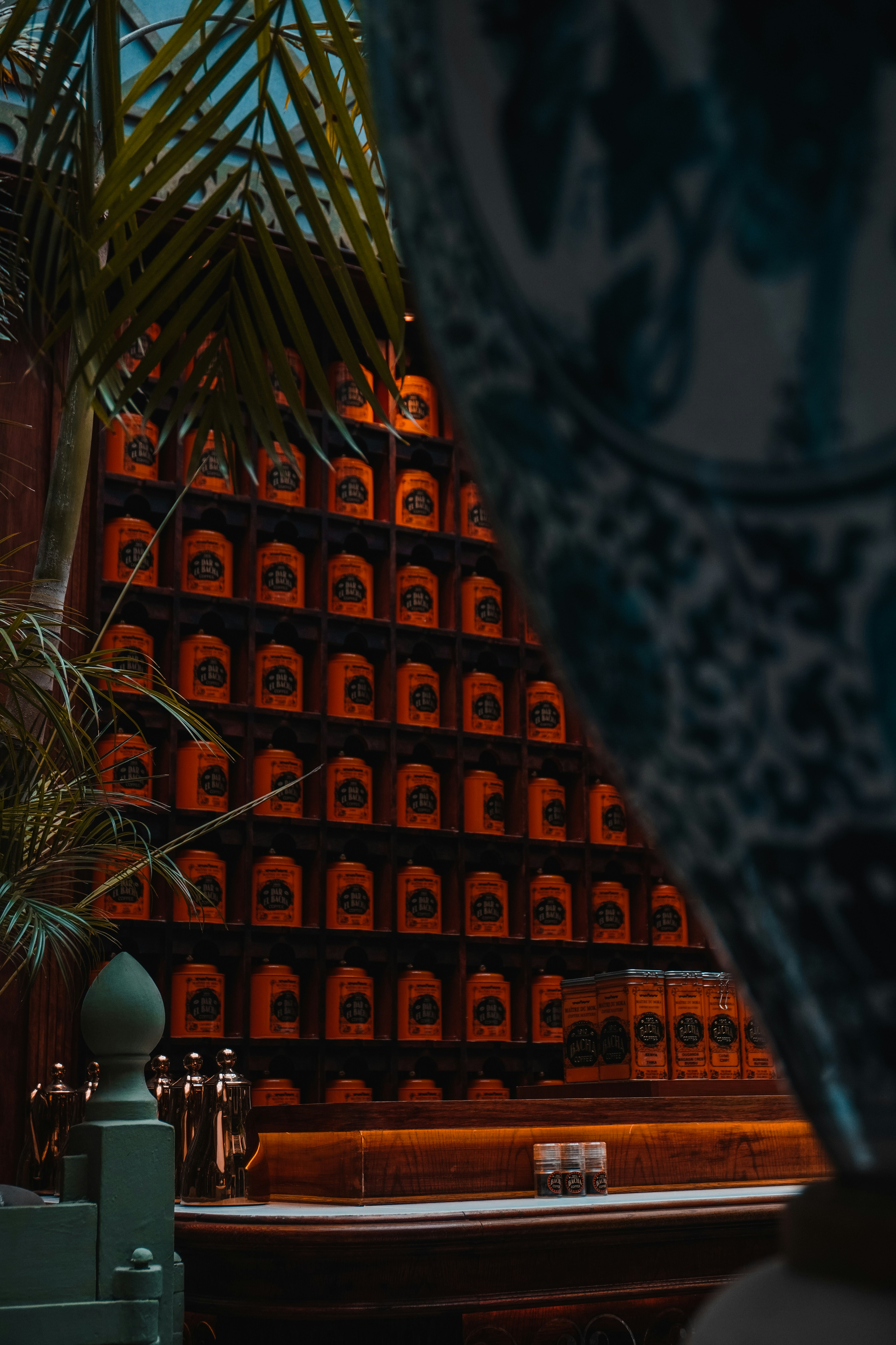 Photo by Miltiadis Fragkidis with SONY ZV-E10