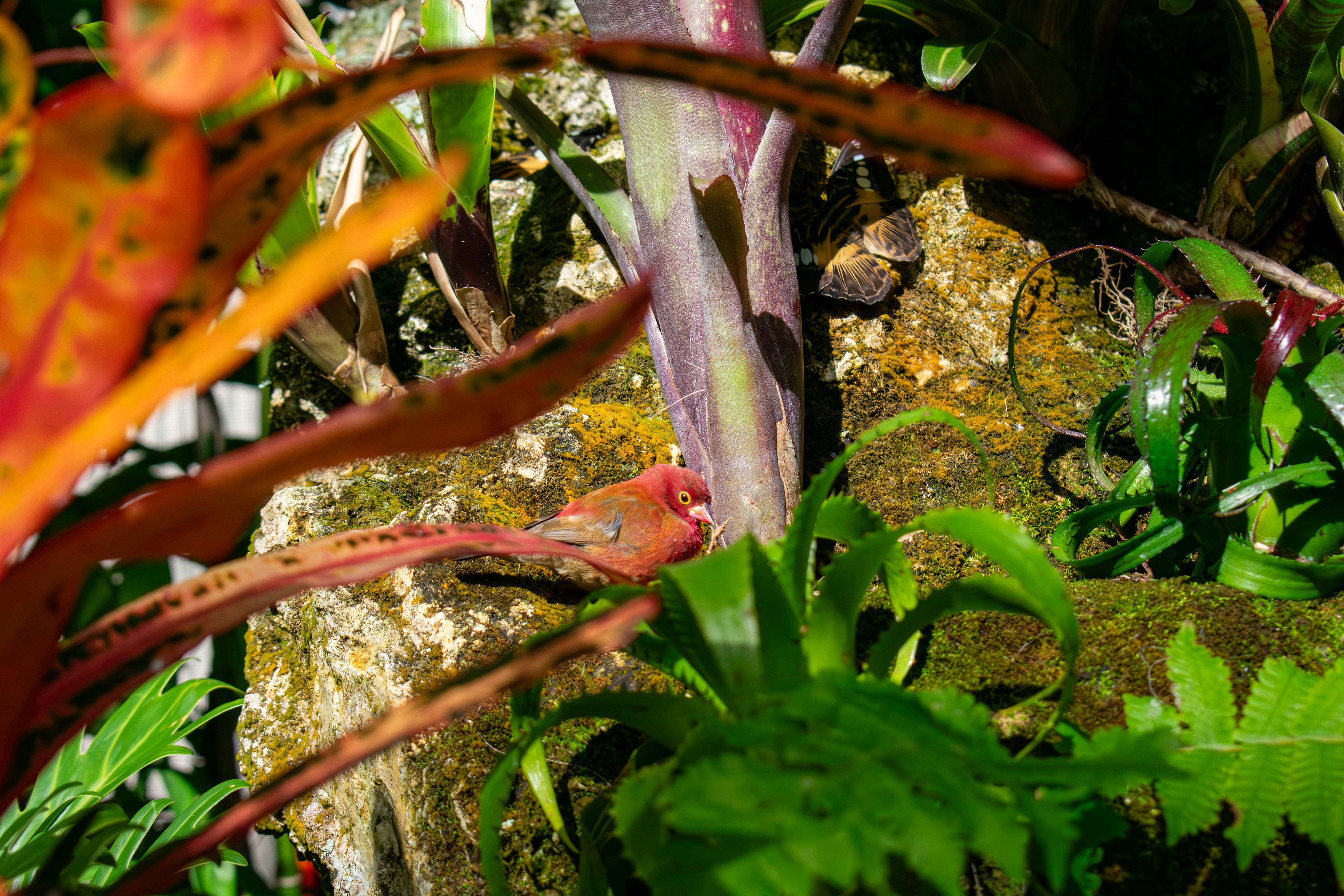 Photo by Chelsey Marques with Nikon D3400