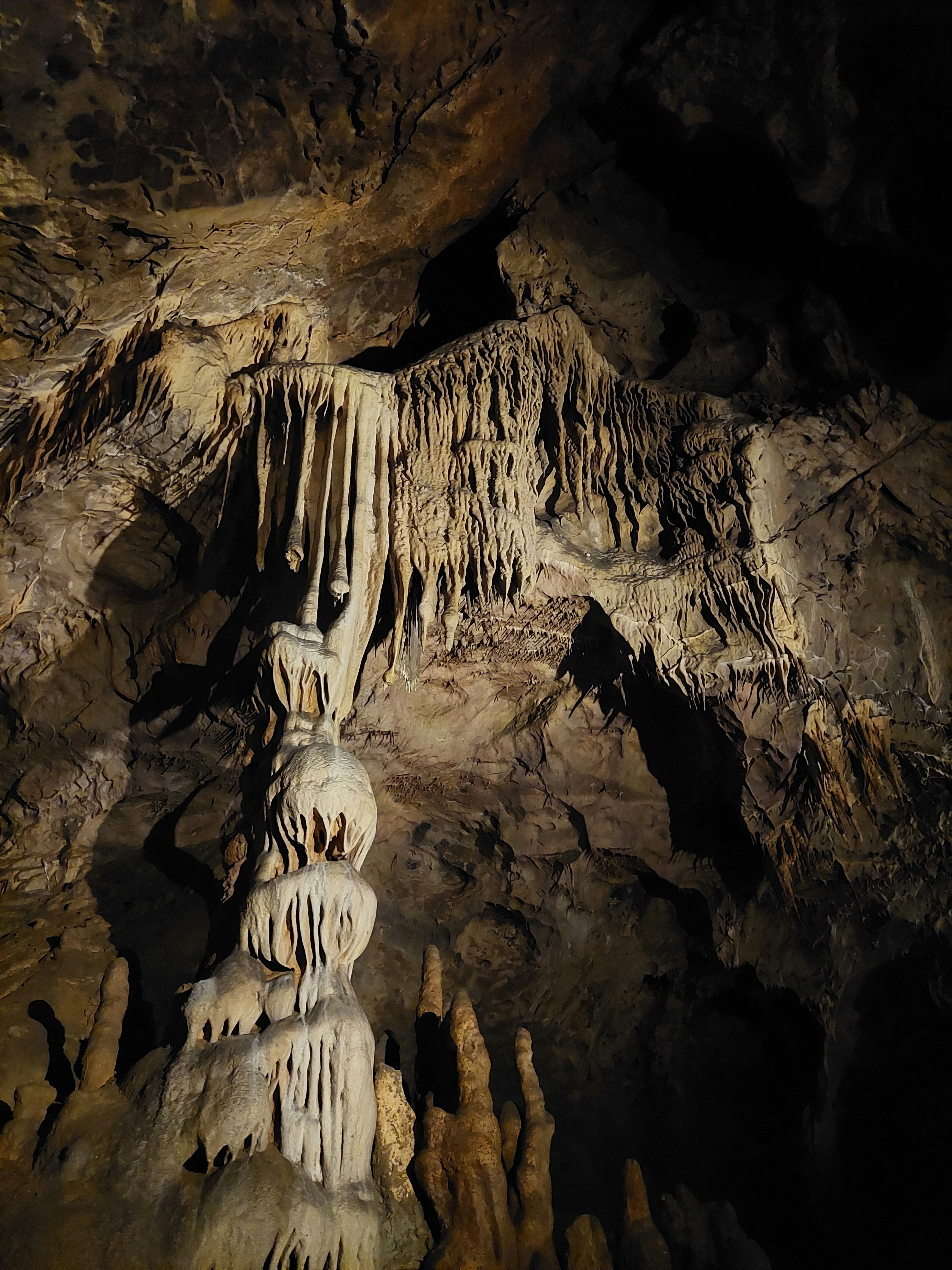 Photo by Scar Tissue with Samsung Galaxy A72