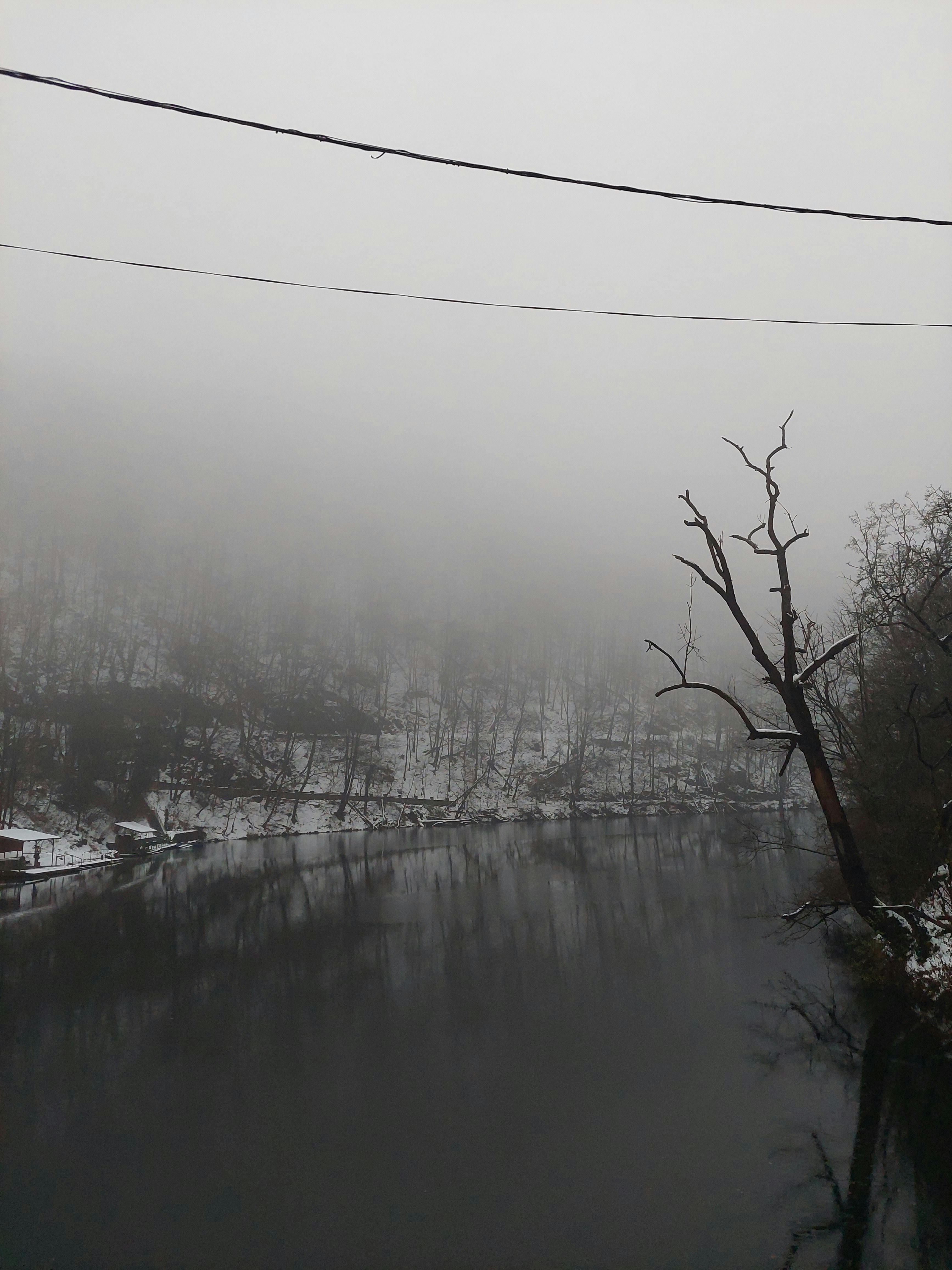 Photo by Scar Tissue with Samsung Galaxy A72