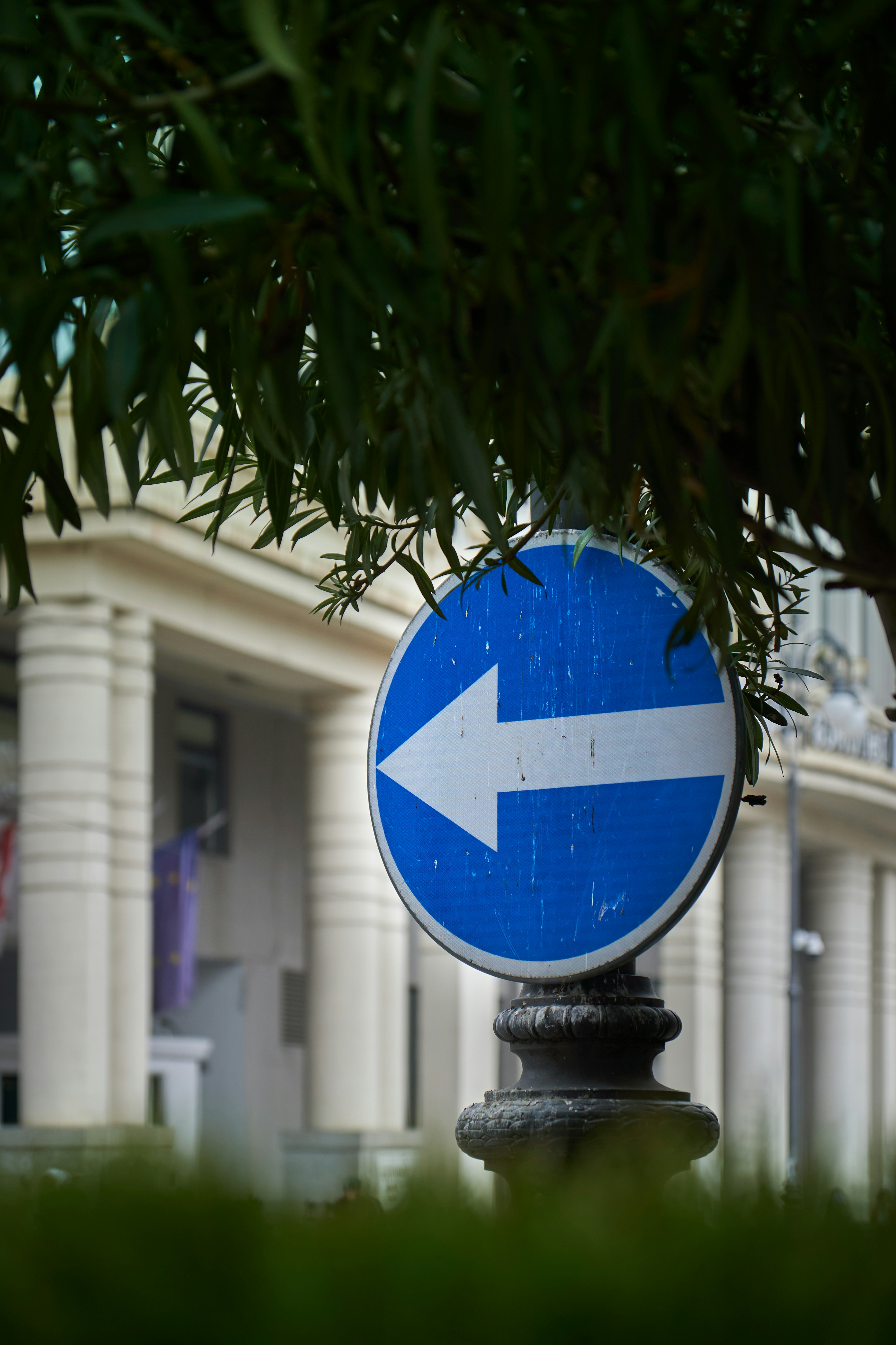 Blue traffic sign with a left-pointing arrow peeks through hanging greenery beside a neoclassical building.
