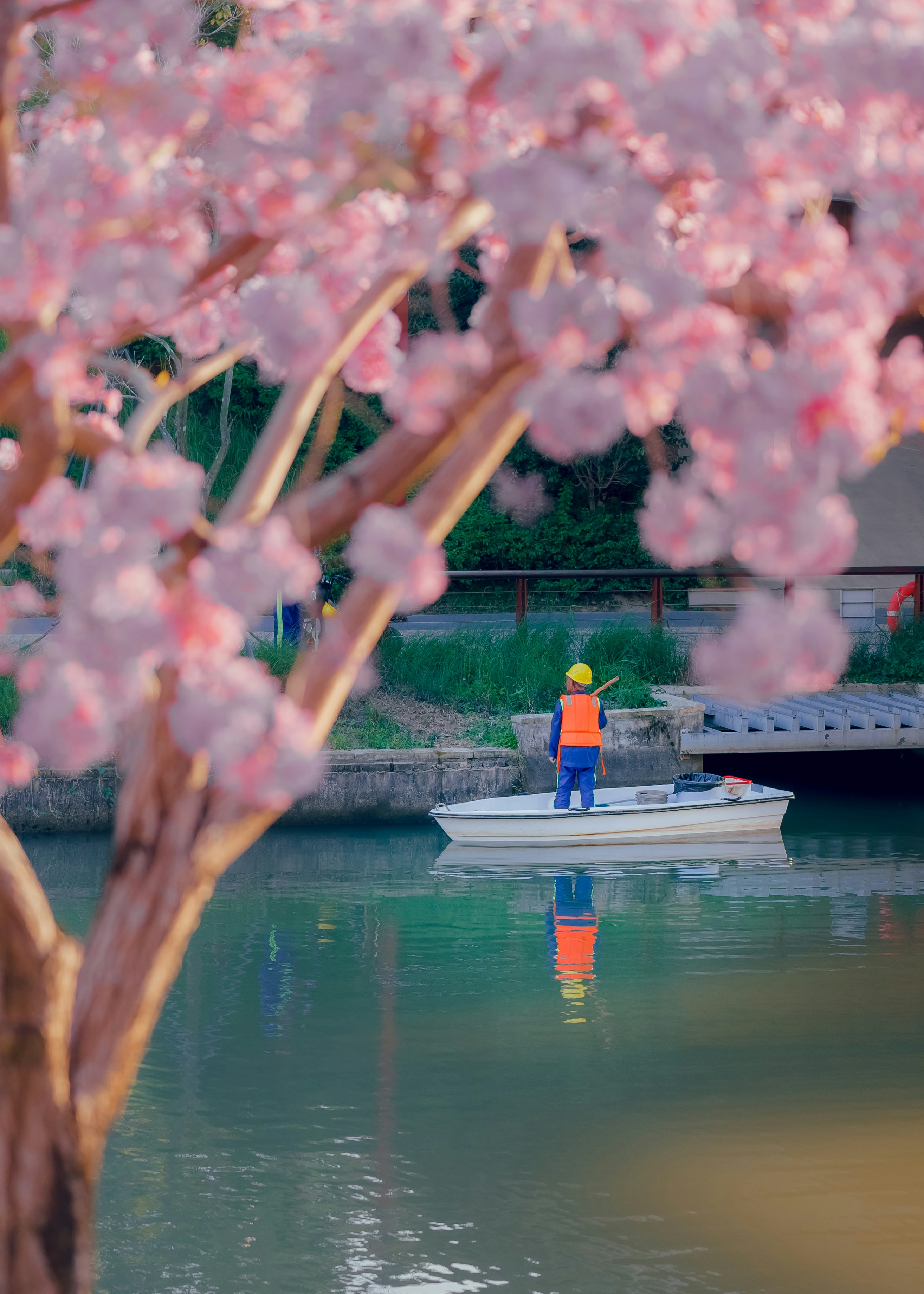 Under a Frame of Pink: A Boatman on a Quiet River