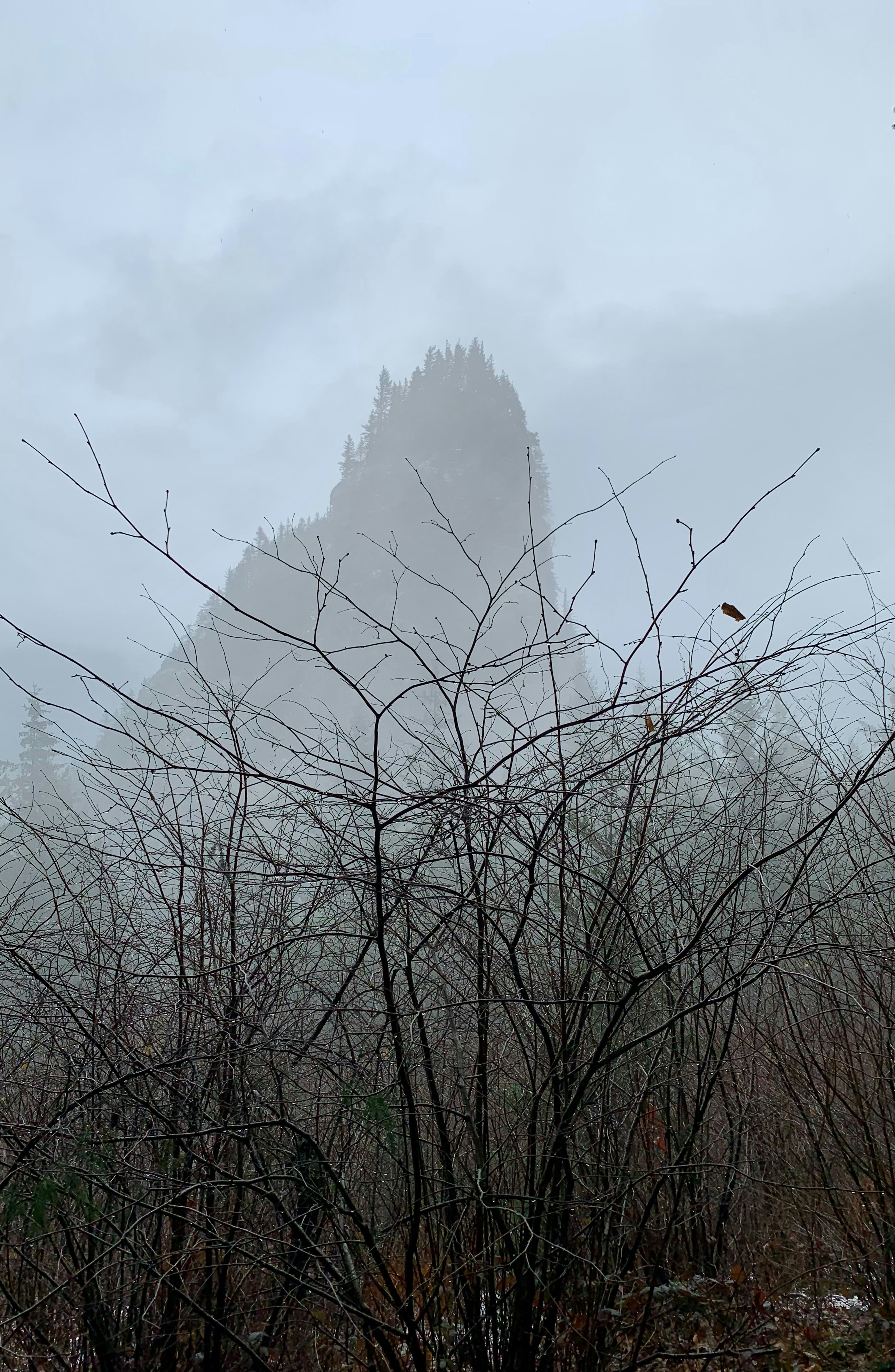 Mist-Clad Spire Rising Behind a Web of Winter Branches